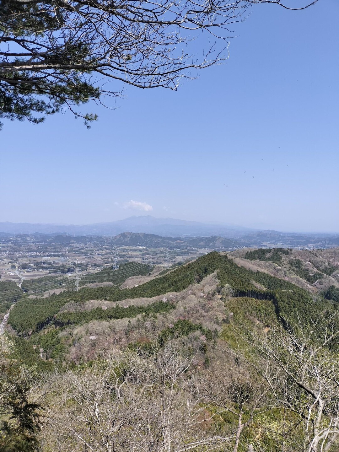 リスタート鞍掛山🗻 / piroさんの大岳山・御岳山・御前山の活動日記 | YAMAP / ヤマップ