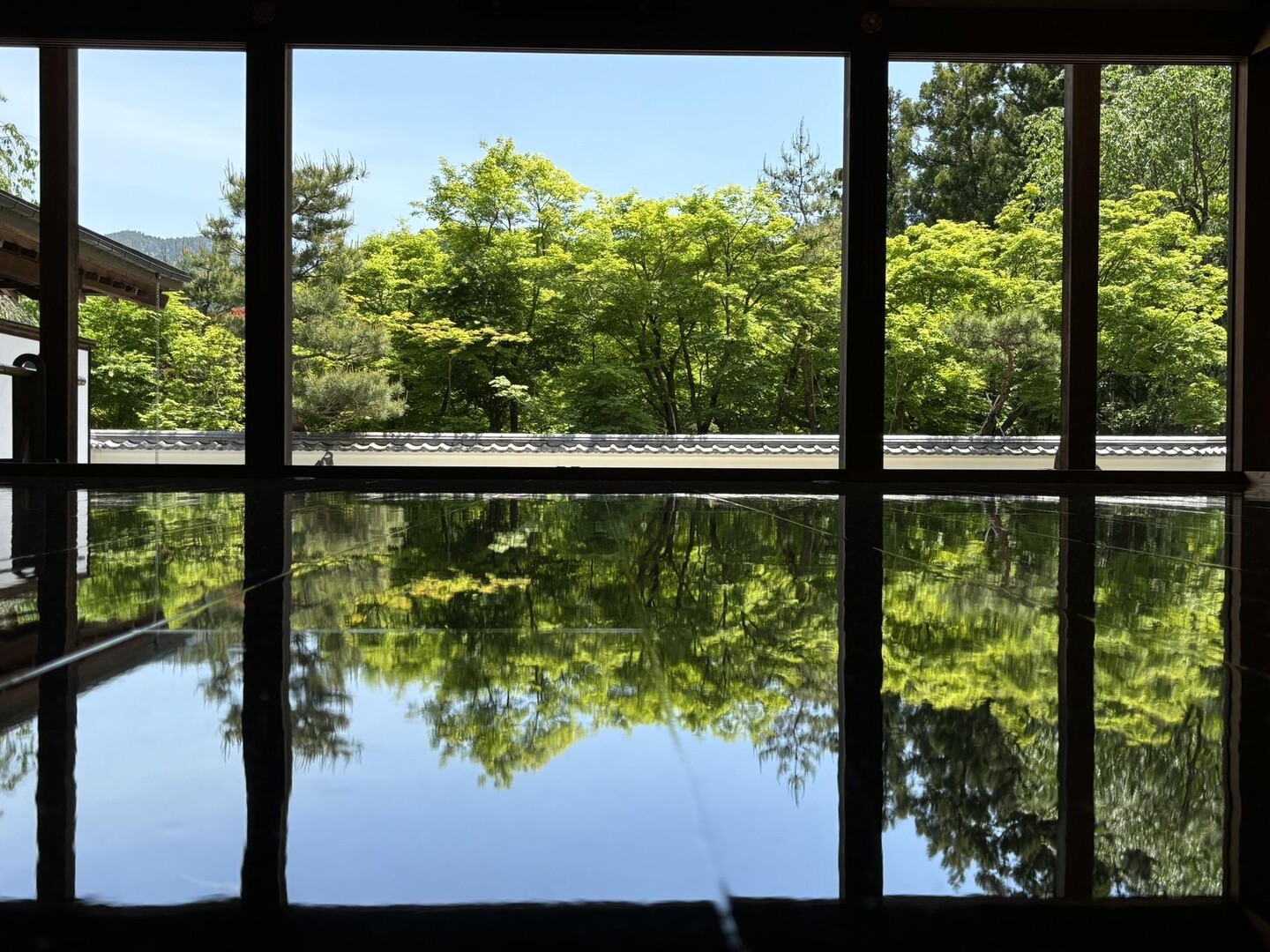 ゆかもみじ@宝徳寺😊 / Roubaix-proさんのウォーキングの活動データ | YAMAP / ヤマップ