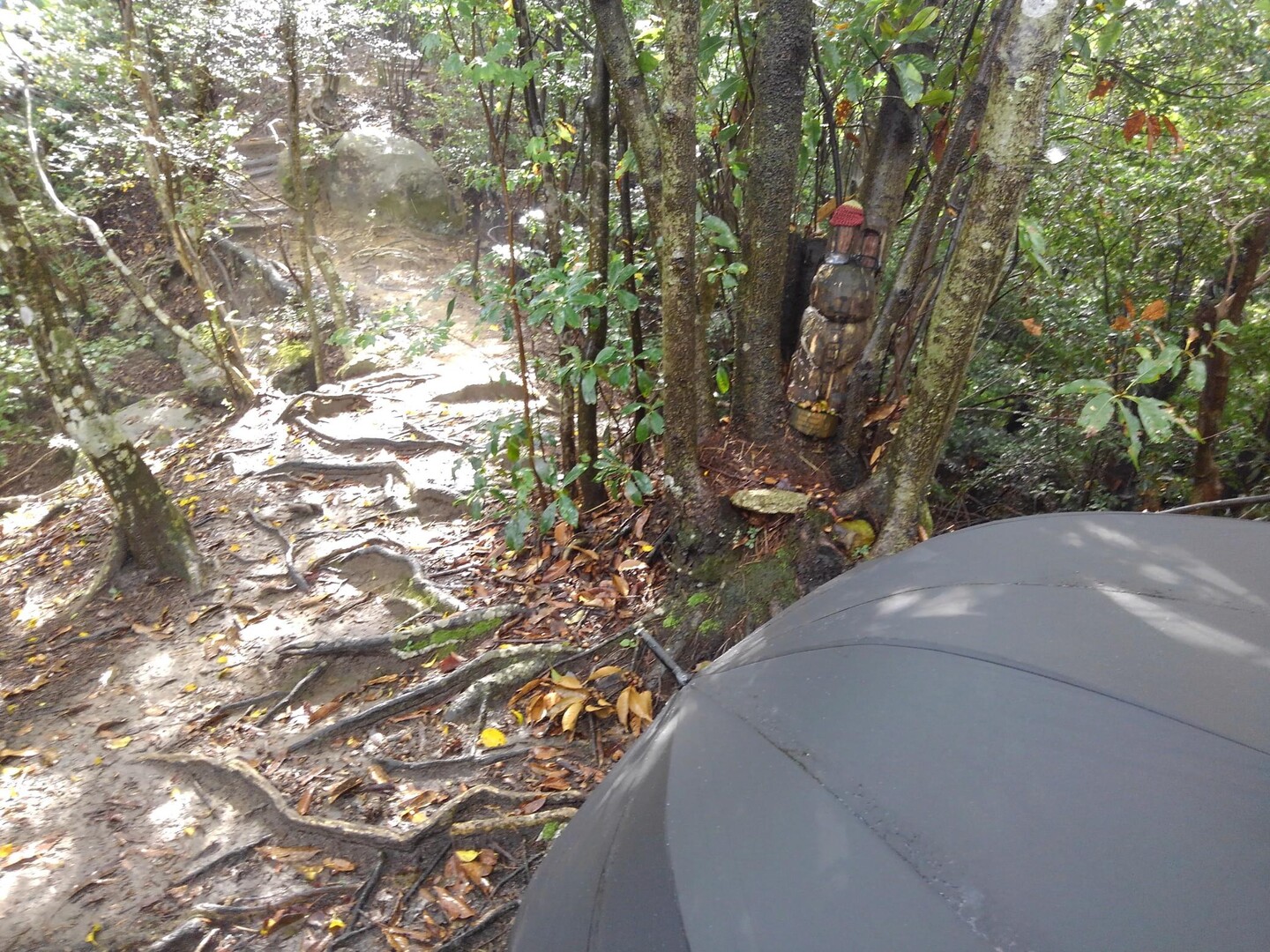 R5の二十八 雨上がりを待てず 猿投山 / nob3さんの猿投山・物見山の活動データ | YAMAP / ヤマップ