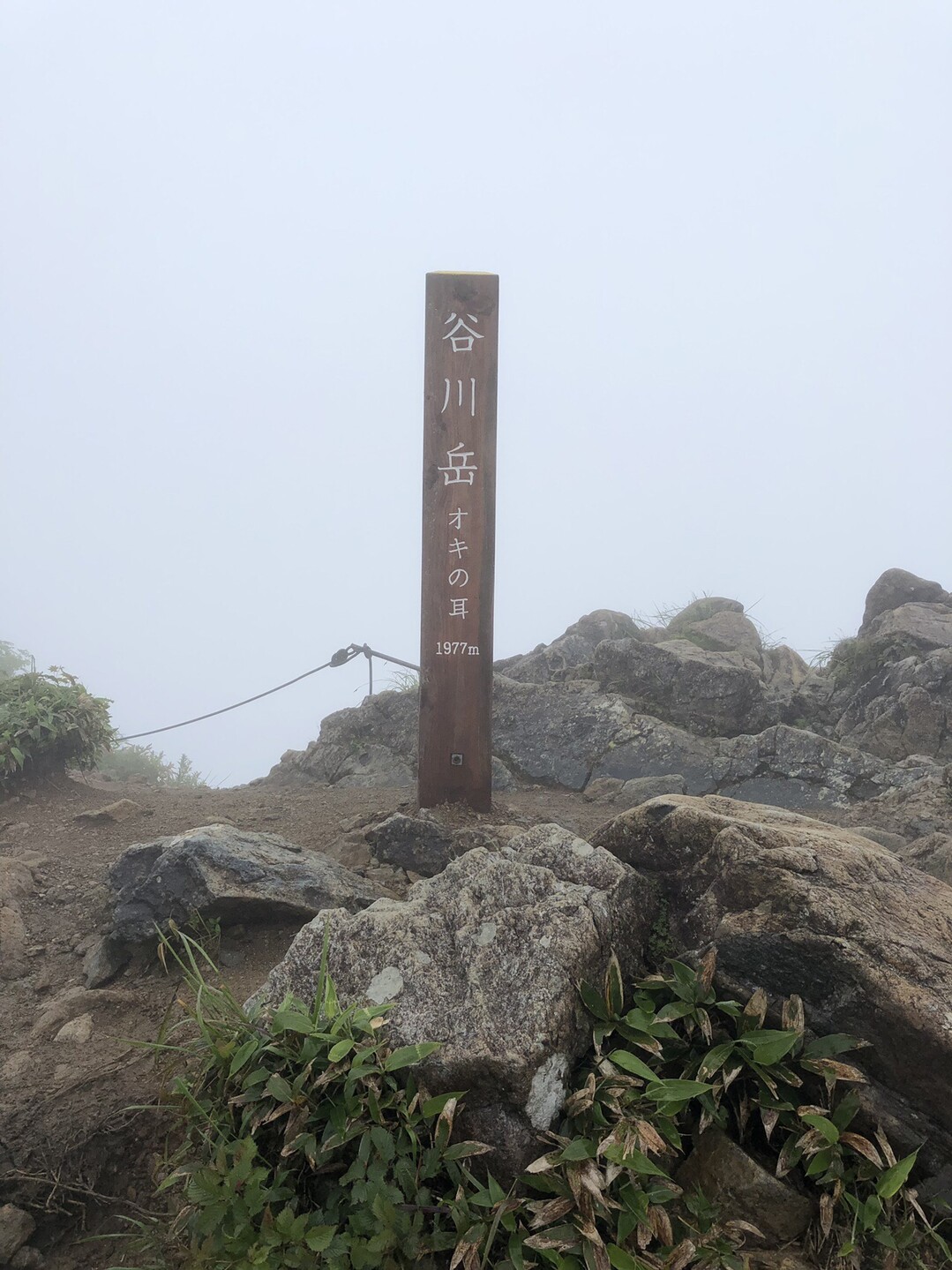 谷川岳・七ツ小屋山・大源太山-2019-07-14 / momiさんの谷川岳・七ツ小屋山・大源太山の活動データ | YAMAP / ヤマップ