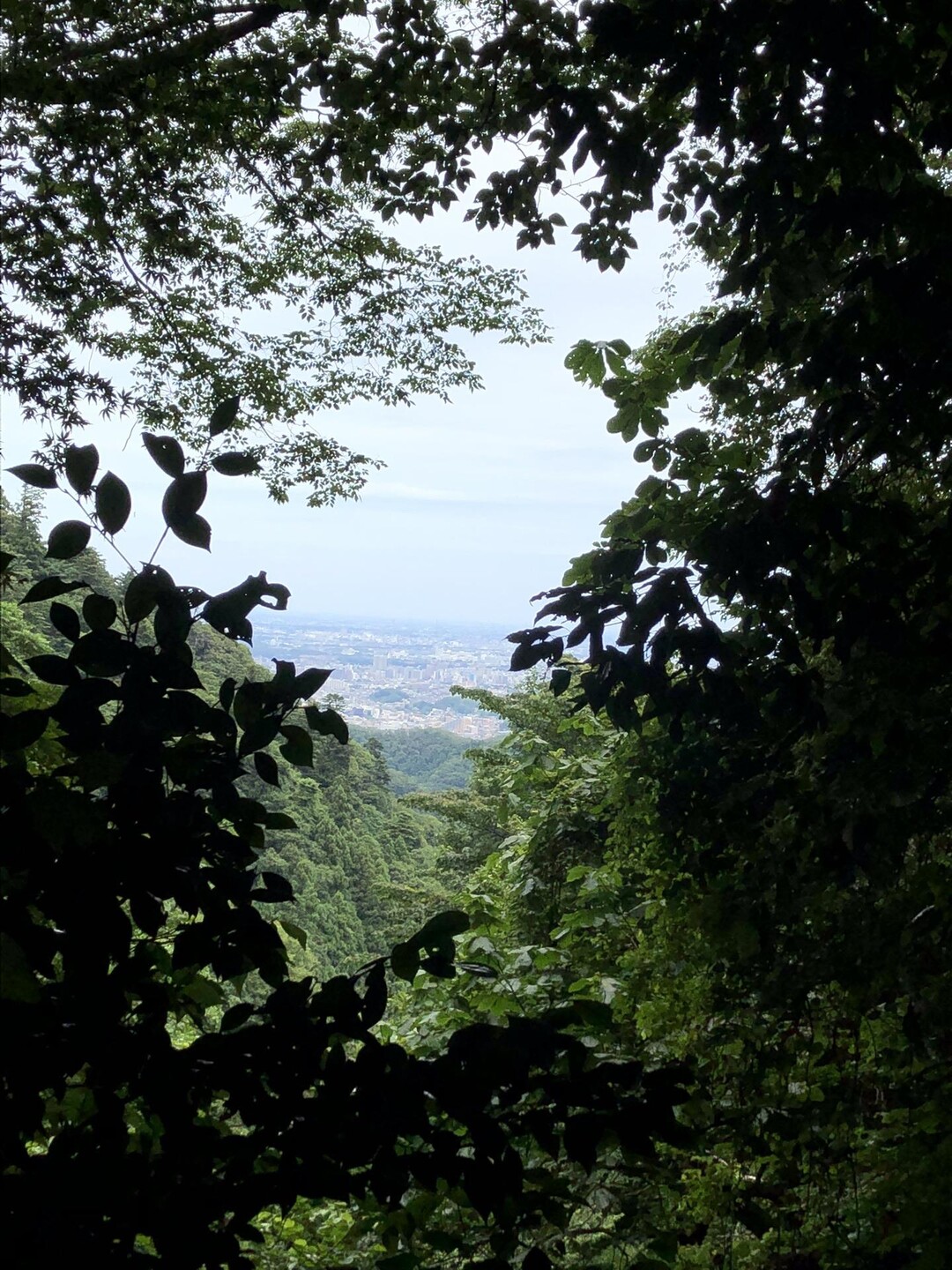 高尾山 3号路 / sonoさんのウォーキングの活動データ | YAMAP / ヤマップ