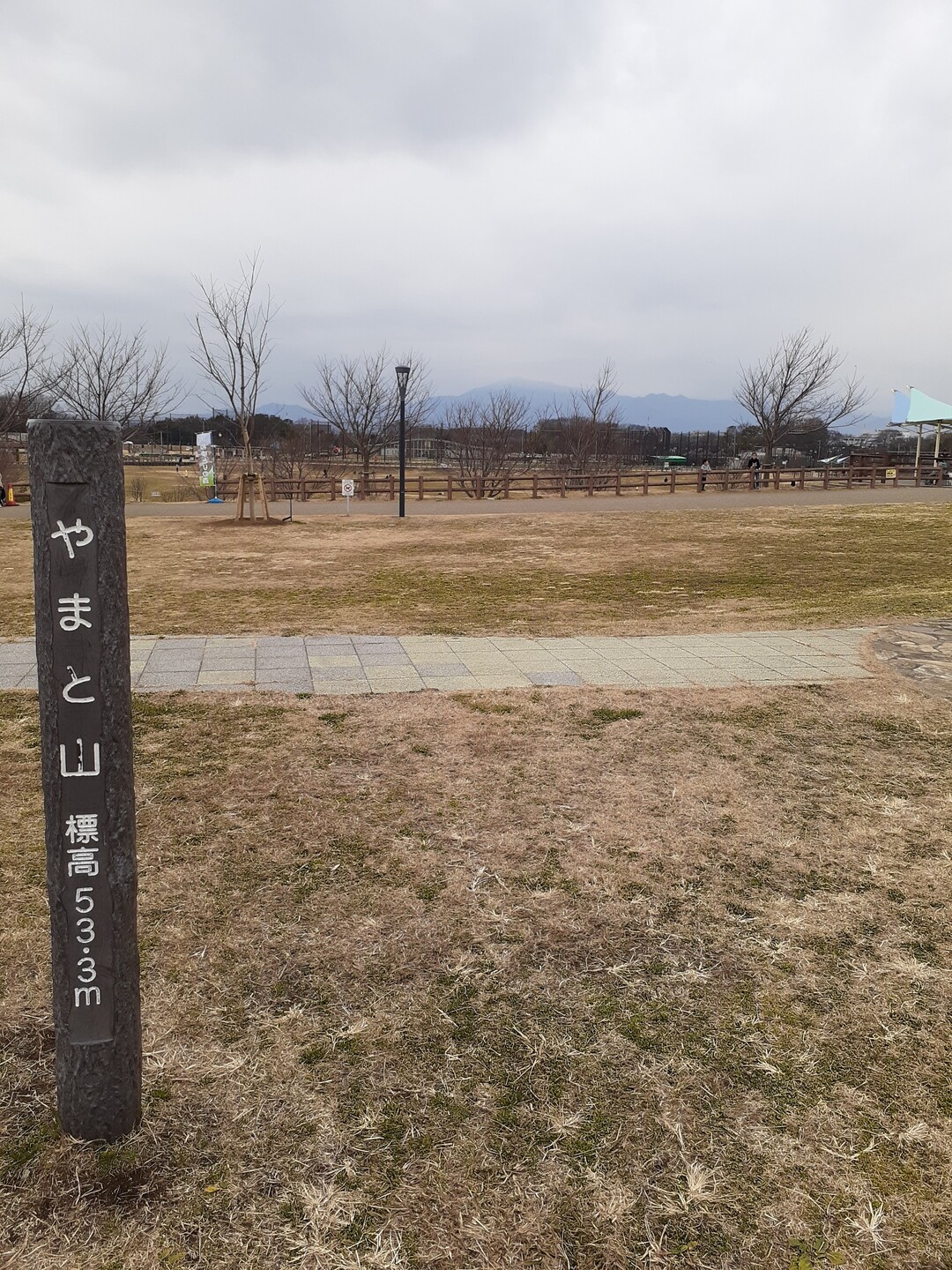 やまと山(神奈川 座間)-2020-01-12 / ko usさんの厚木市の活動データ | YAMAP / ヤマップ