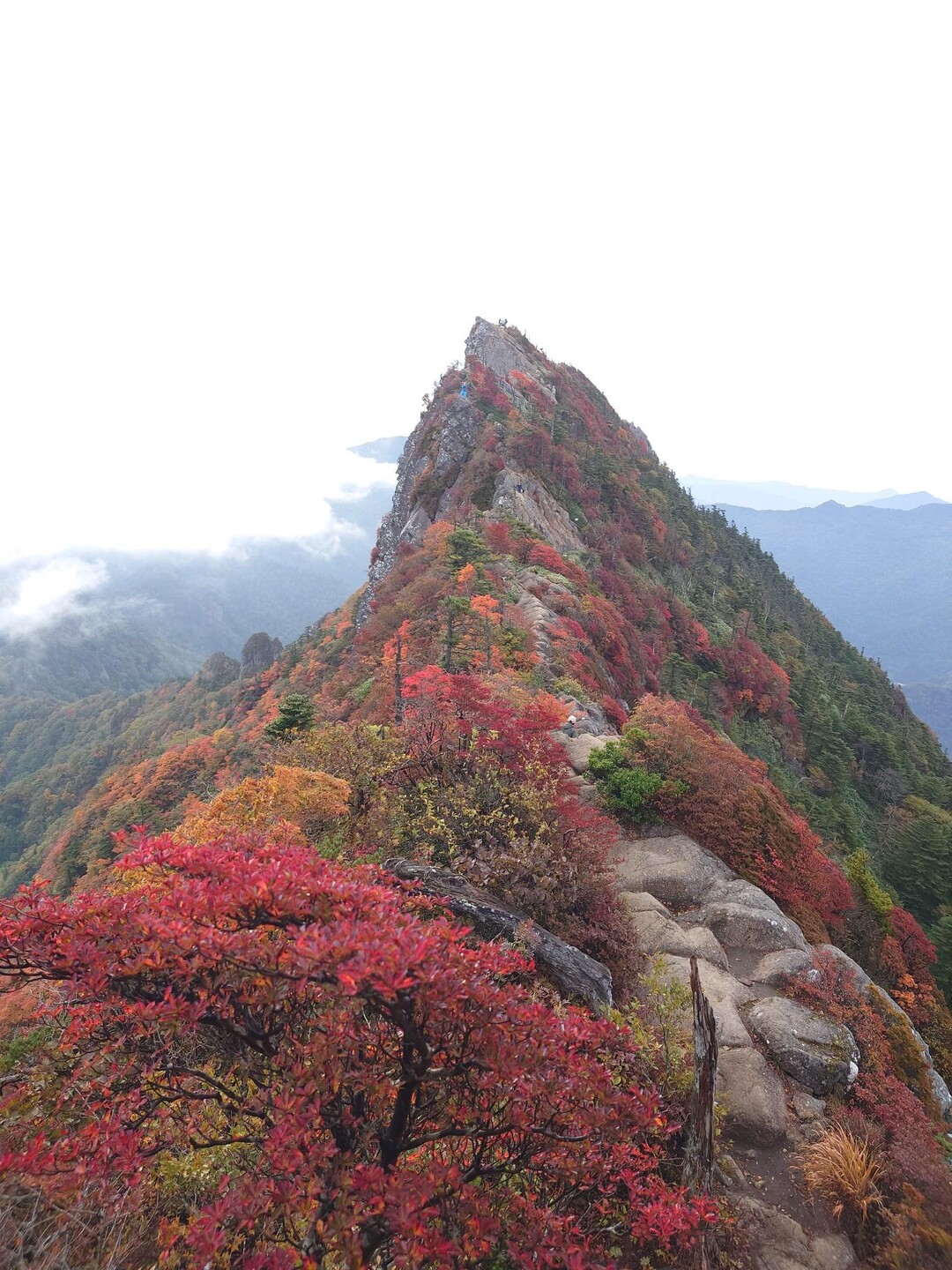 ★石鎚山★ガスガスからの大どんでん返し / sakura.nnさんの石鎚山・堂ヶ森・二ノ森の活動データ | YAMAP / ヤマップ