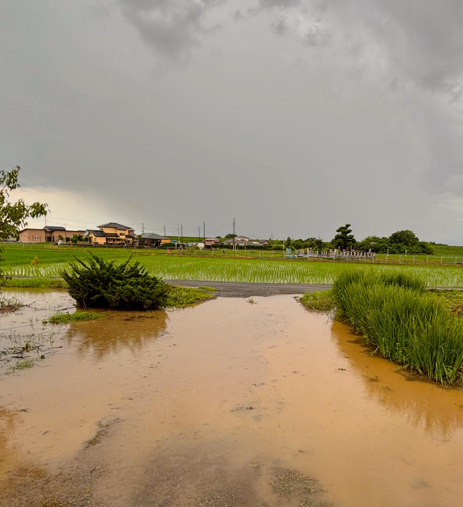 デカい落雷⚡️ 線状降水帯なのか 農業用... / GanjaEX🐕さんのモーメント | YAMAP / ヤマップ