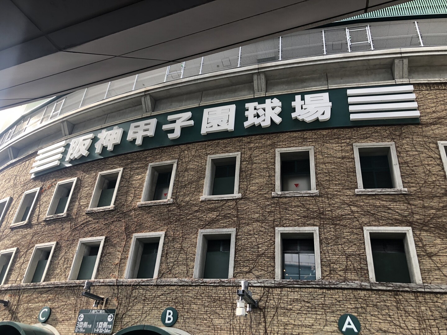 明日人気の金剛山に登ります。 大阪の息子... / カルゲマフさんのモーメント | YAMAP / ヤマップ