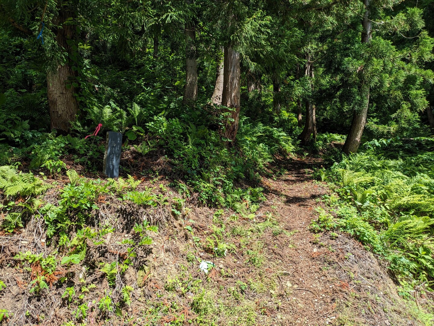 本道寺口〜道刈り②〜 / 大黒森PJ(旧FCドロンパ)さんの月山の活動データ | YAMAP / ヤマップ
