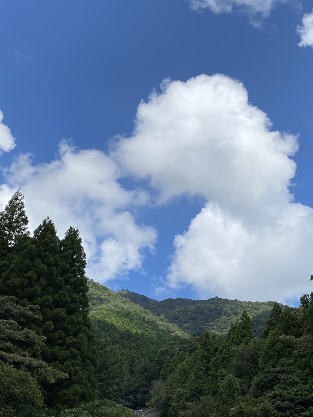 なんて日だぁっ！入道ヶ岳-2023-08-26 / kikiさんの入道ヶ岳・鎌ヶ岳・仙ヶ岳の活動データ | YAMAP / ヤマップ