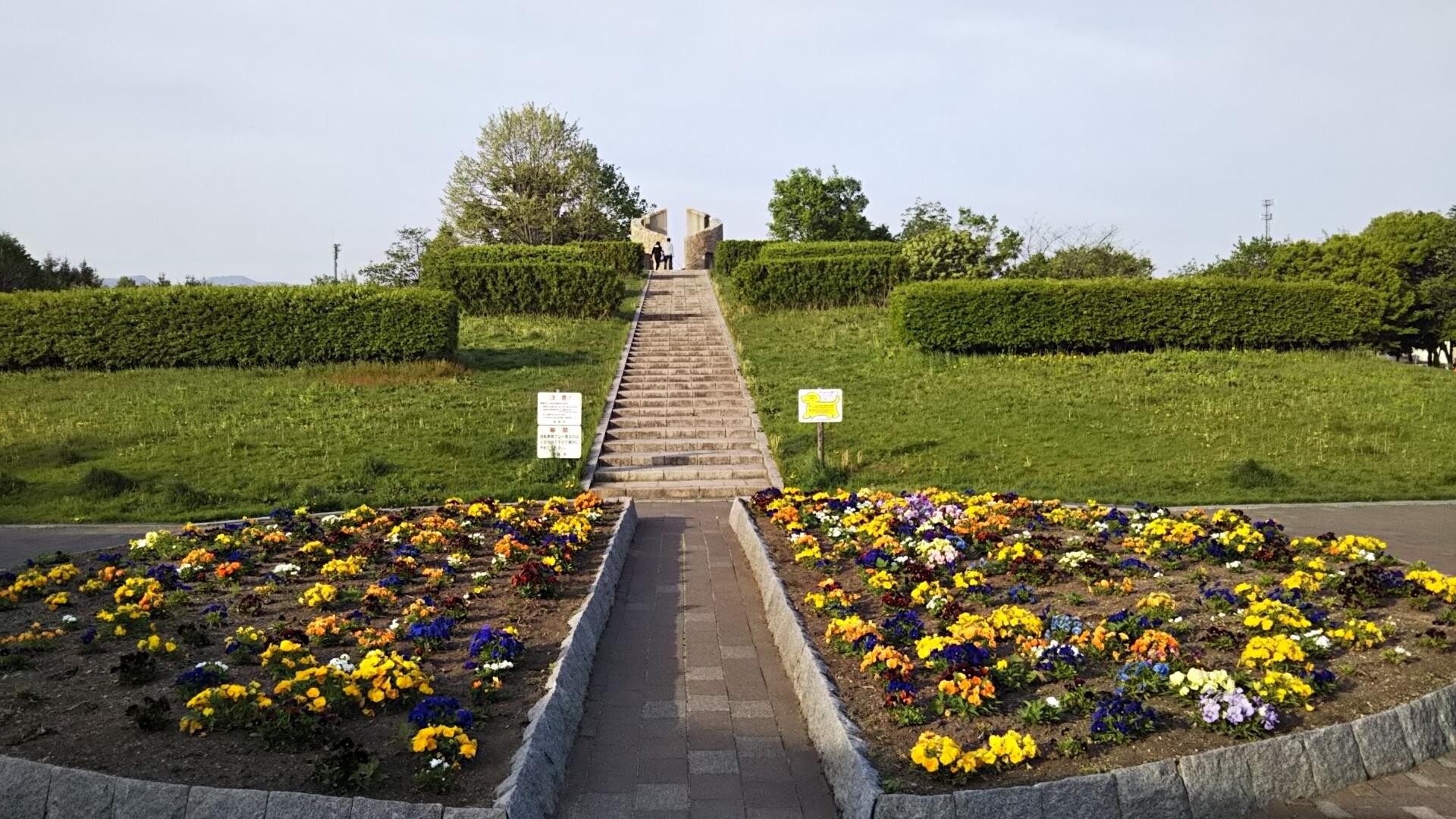 ストレス発散の為🏃 / keiさんの函館市の活動データ | YAMAP / ヤマップ