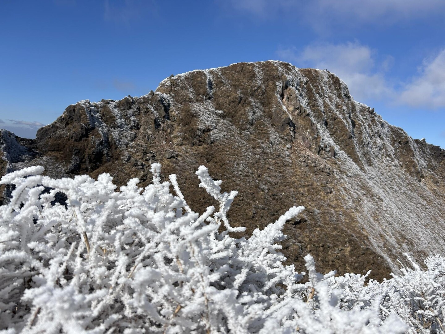 嬉しい出会いと霧氷満喫((´∀`*))由布岳・飯盛ヶ城 / datinさんの由布岳・鶴見岳の活動データ | YAMAP / ヤマップ