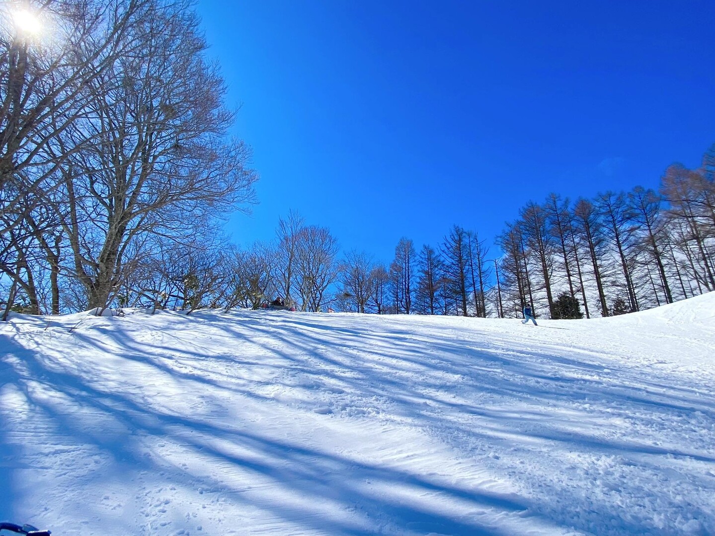 晴れ間を待って☀️流葉山⛰️スノーボード🏂 / nataiさんの流葉山の活動データ | YAMAP / ヤマップ