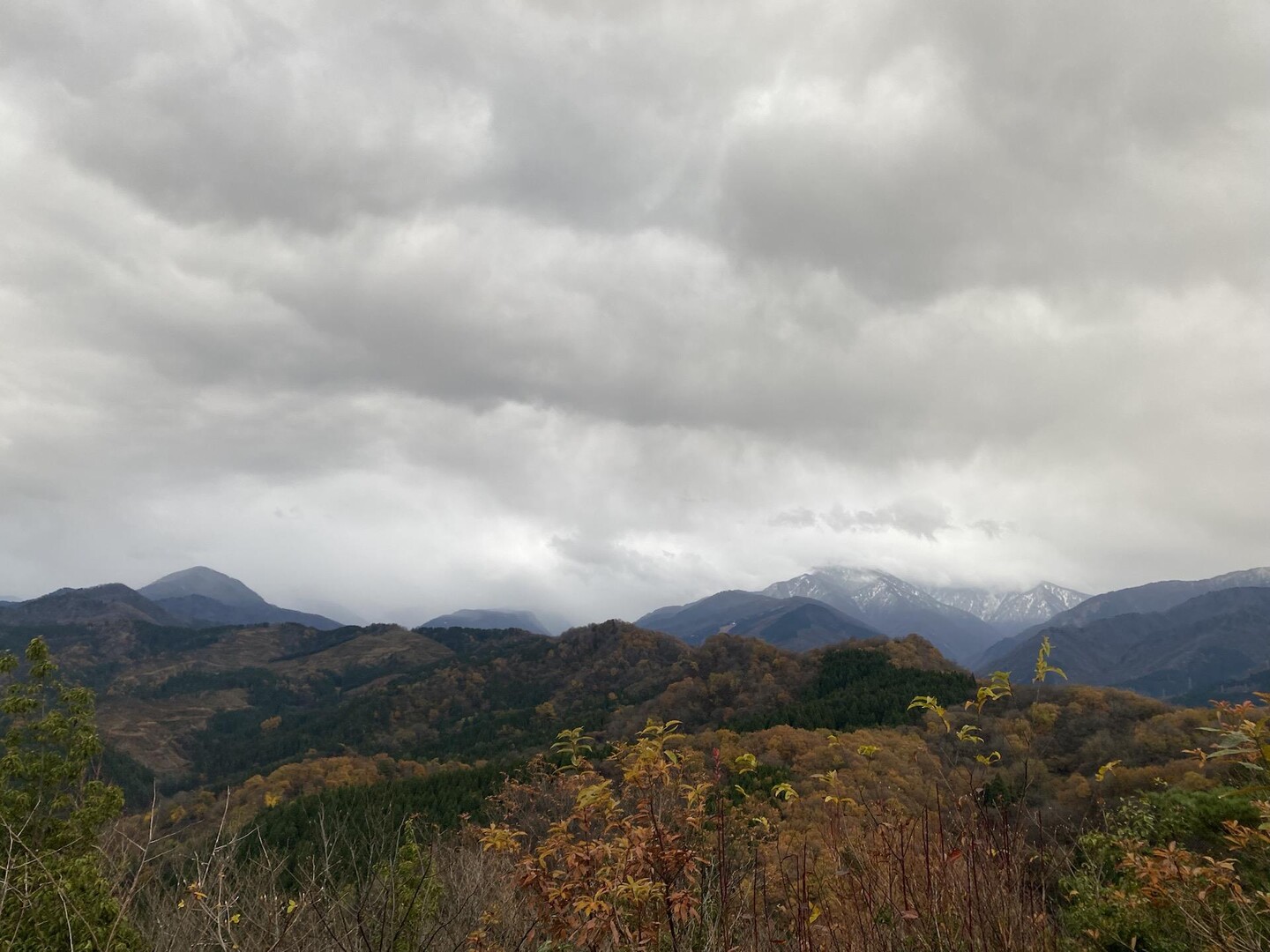 尖山 / yakataさんの尖山の活動データ | YAMAP / ヤマップ