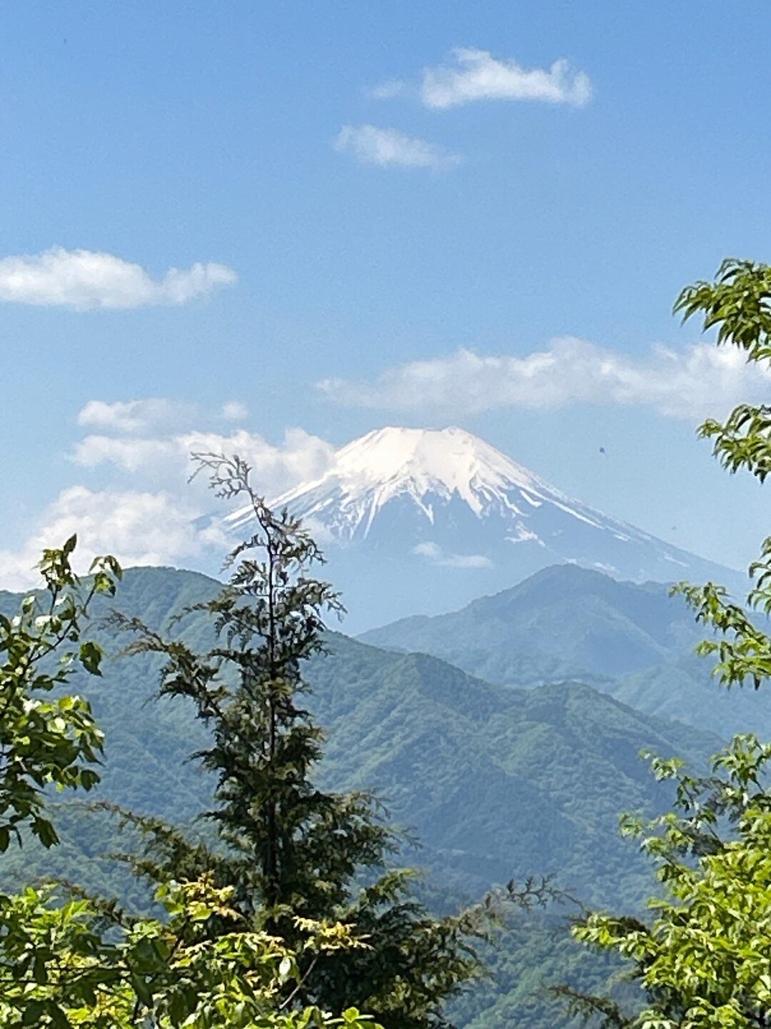 高畑山・天神山・倉岳山 / eriさんの倉岳山・高畑山・九鬼山の活動データ | YAMAP / ヤマップ
