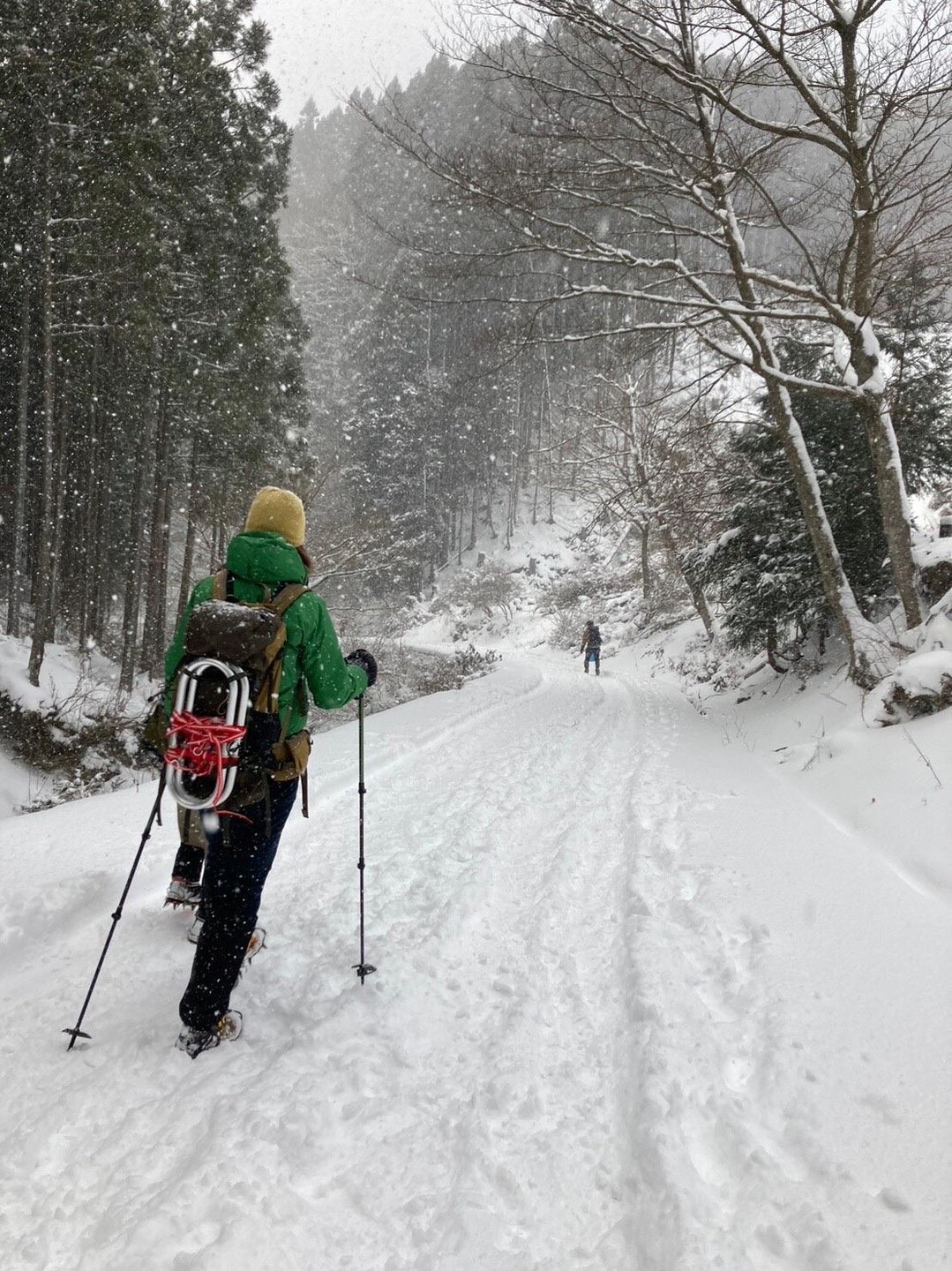 三峰山 / motusan さんの三峰山・学能堂山・栗ノ木岳の活動データ | YAMAP / ヤマップ