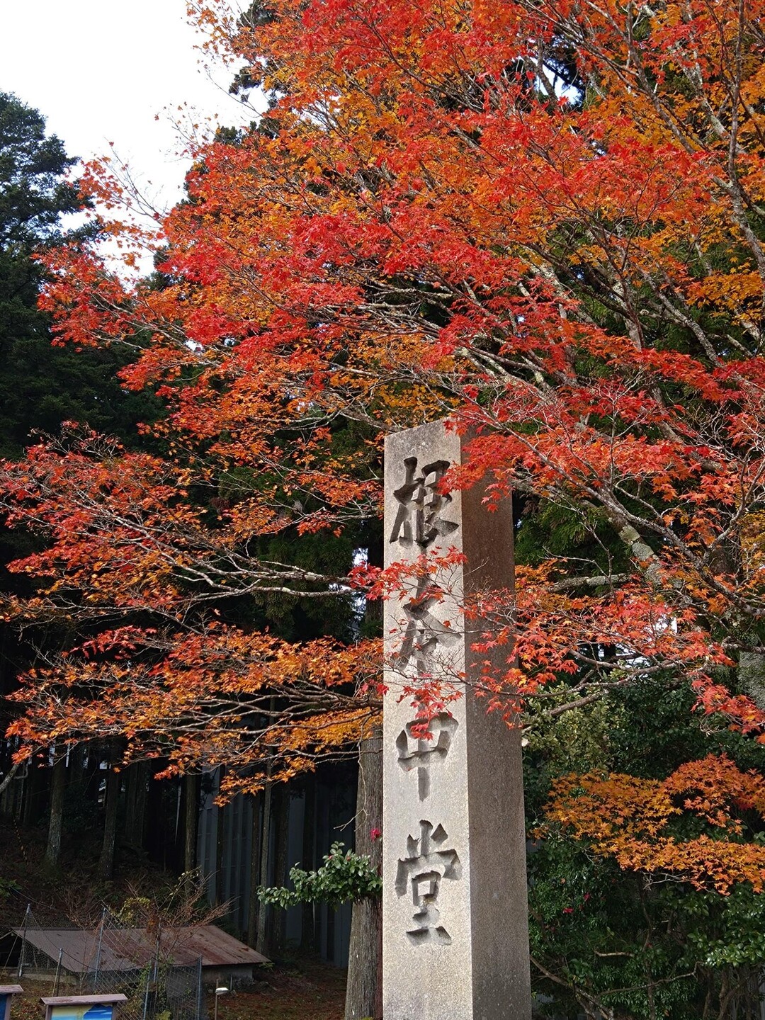 今日は比叡山延暦寺へ。 法華経の聖地へ。... / Kmk-Nさんのモーメント | YAMAP / ヤマップ