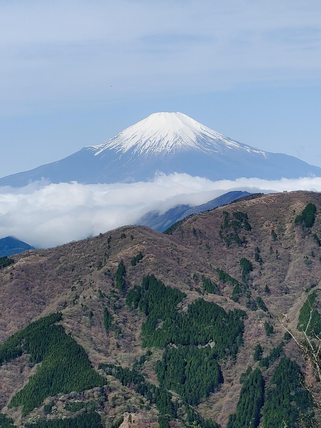 大山・三ノ塔 / dodoさんの大山の活動データ | YAMAP / ヤマップ