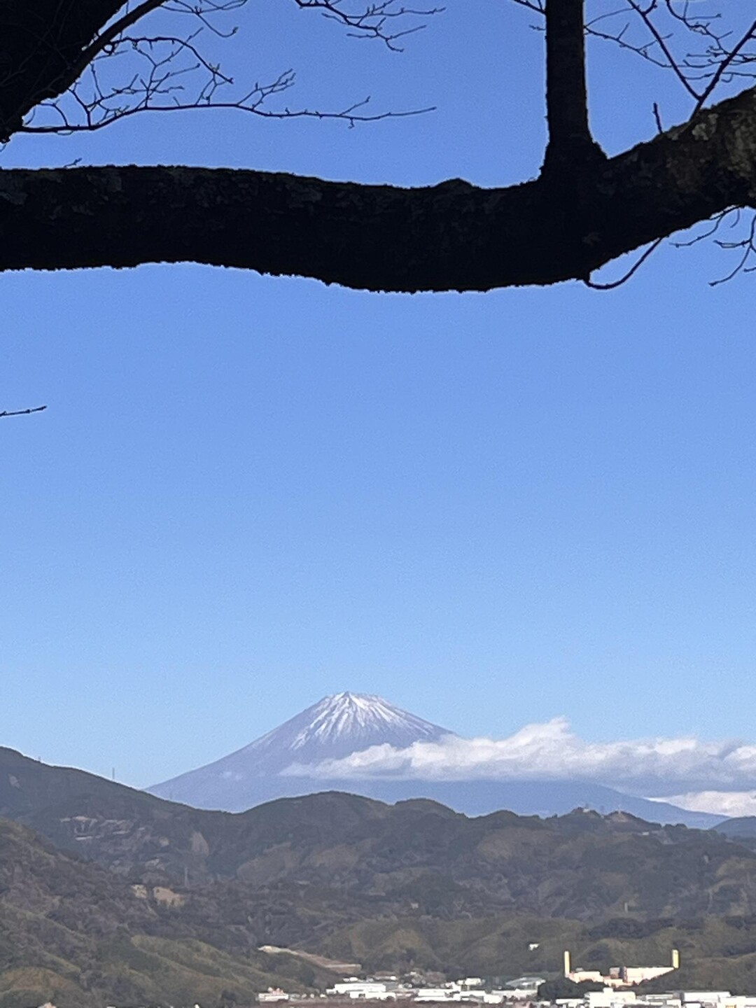 浅間山 / ude-kingさんの賤機山の活動データ | YAMAP / ヤマップ