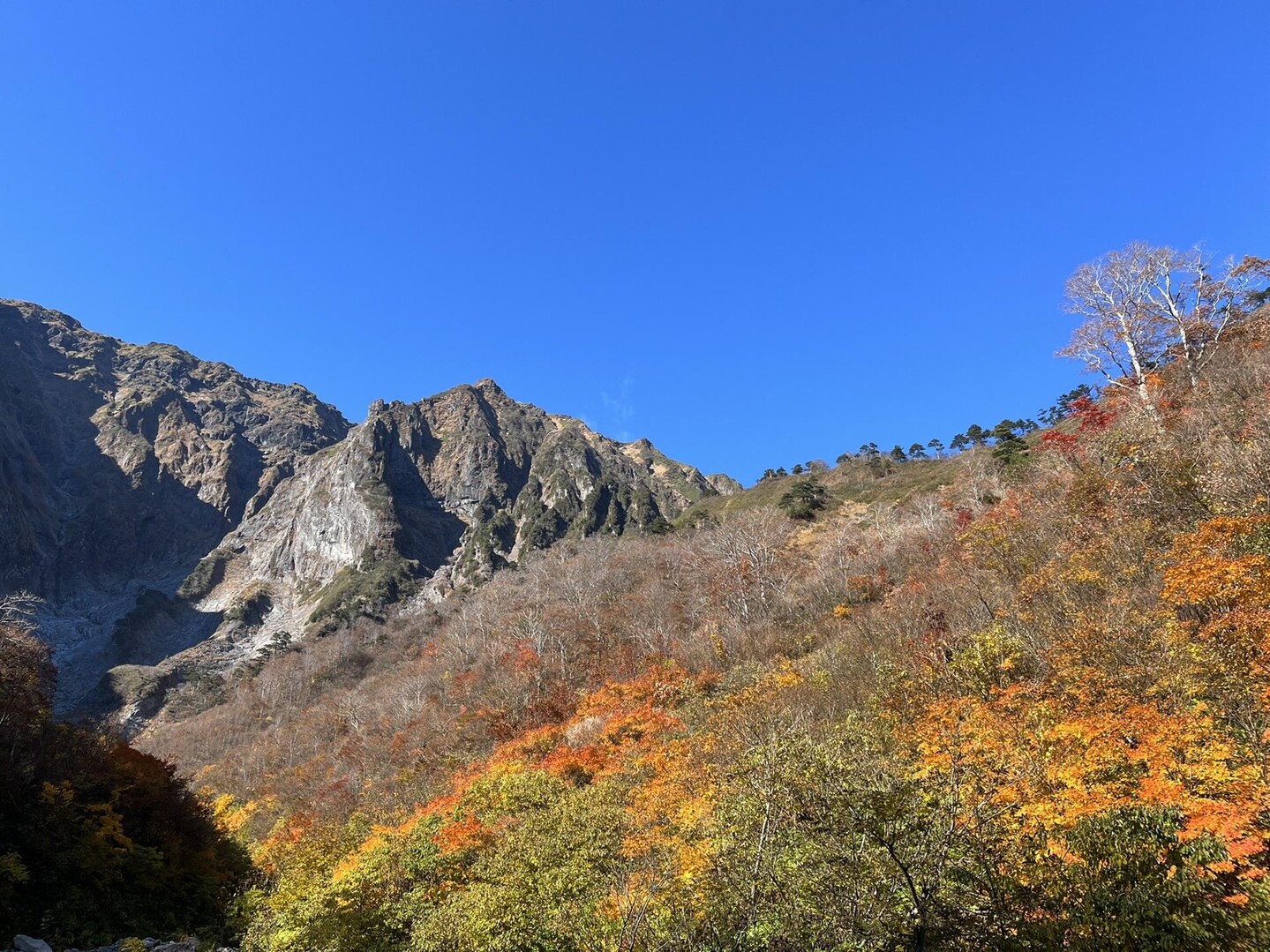 一ノ倉沢の紅葉見物 / Telemacさんのモーメント | YAMAP / ヤマップ