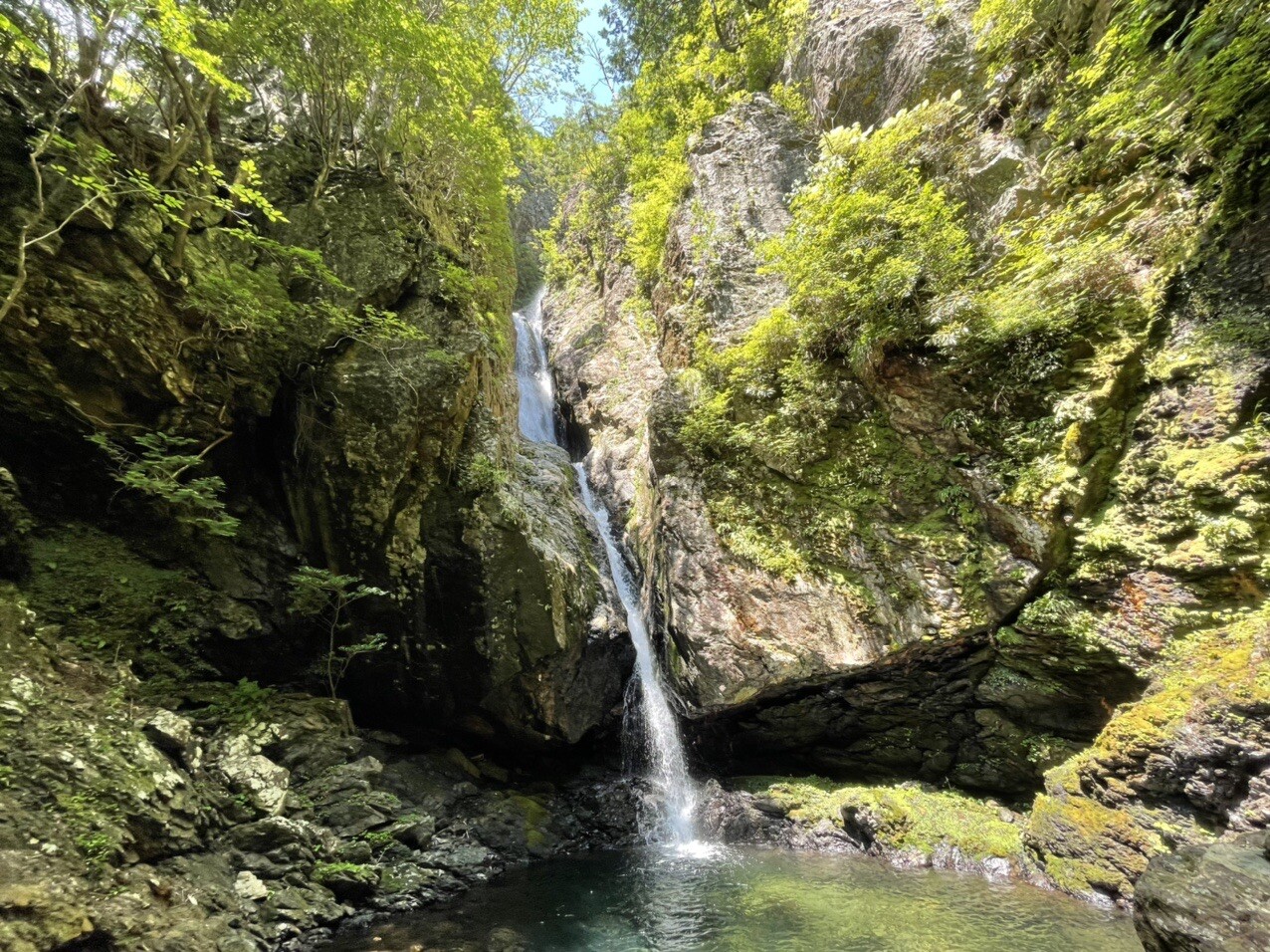 podoryさんの投稿したフィールドメモ | YAMAP / ヤマップ