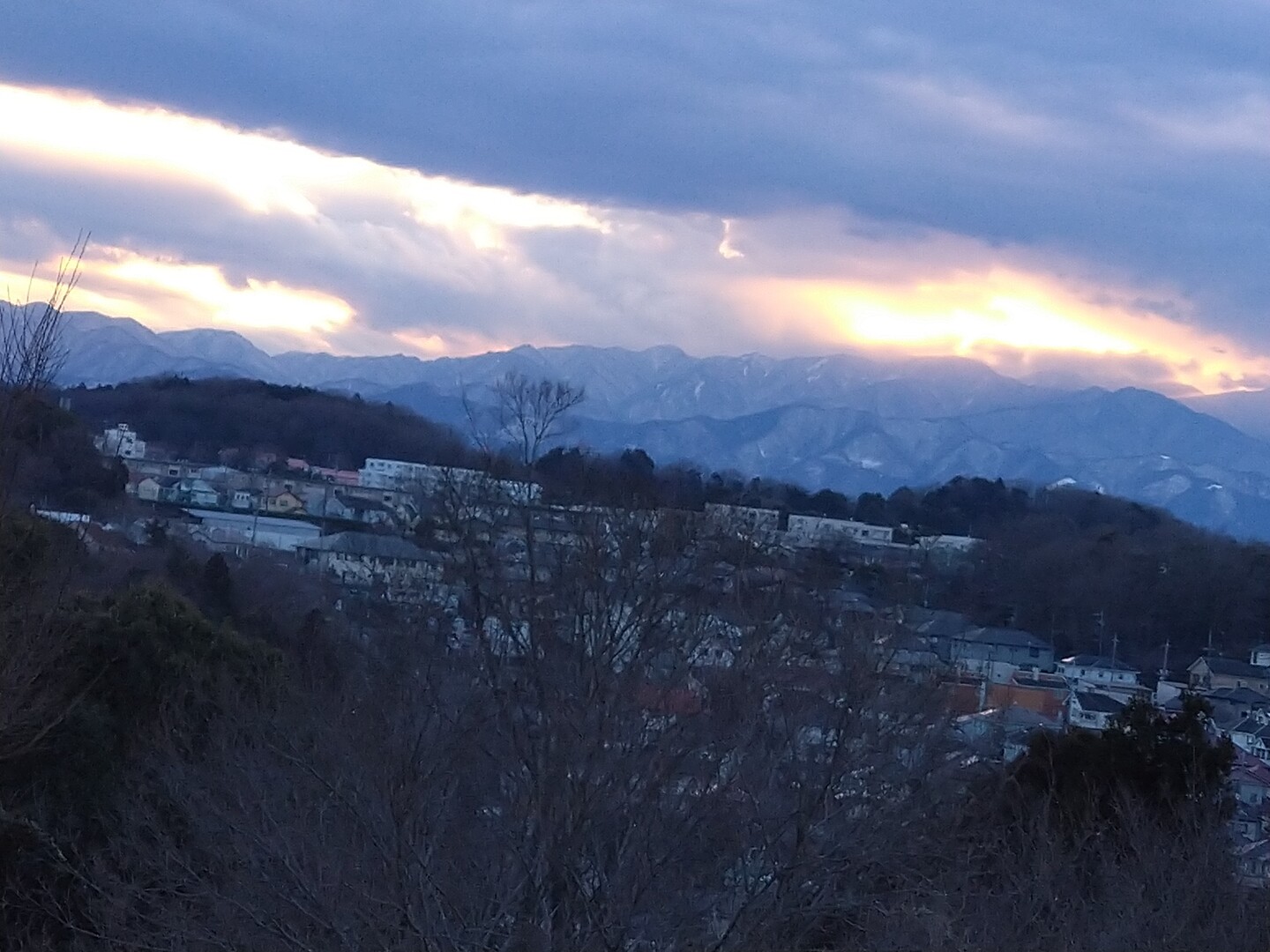 ちょっと春を感じた多摩丘陵 ~日暮れの諏訪ケ岳 / takeriさんの多摩市の活動データ | YAMAP / ヤマップ