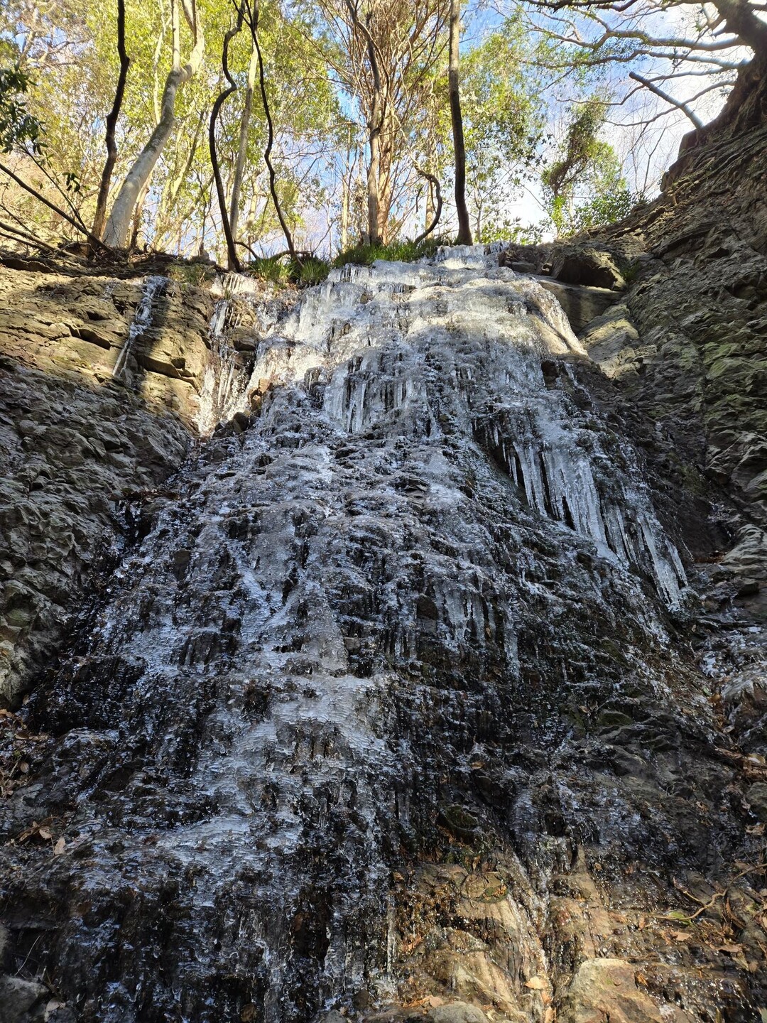 大紀町シーサイドトレイルDNSで粟ヶ岳へ / ペロマルさんの粟ヶ岳の活動データ | YAMAP / ヤマップ