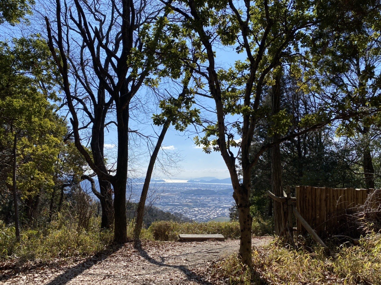 今日はグリーンシャワーの森から出勤。。や... / sachi_lehuaさんのモーメント | YAMAP / ヤマップ