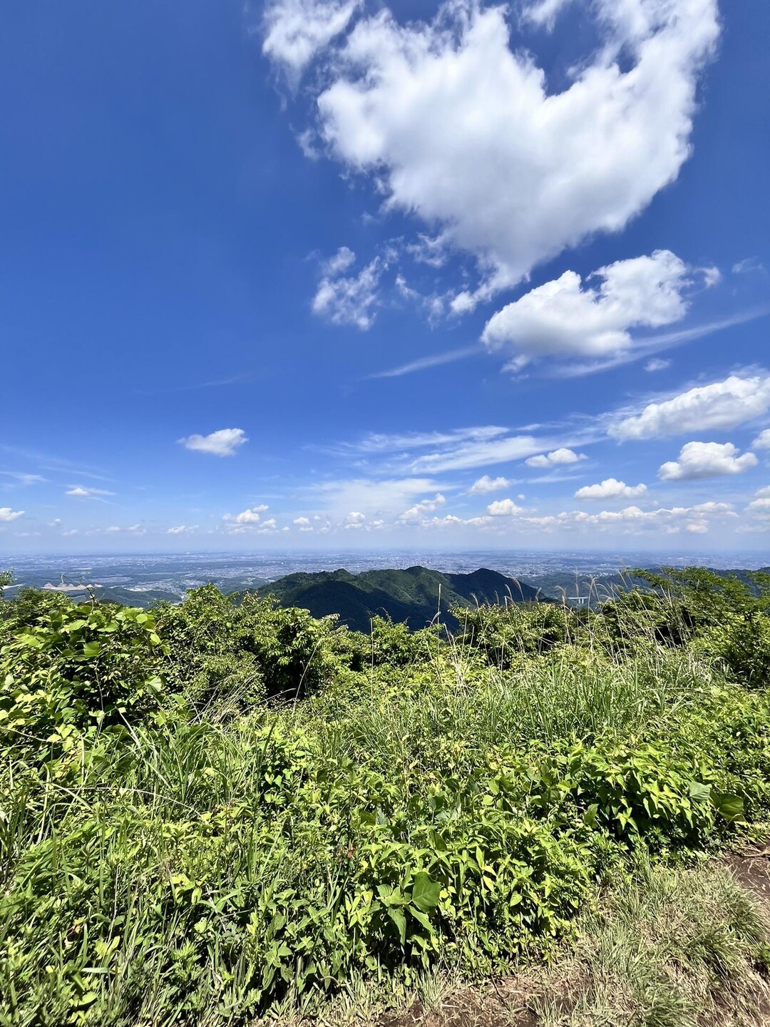 景信山・大久保山・478m圏峰 / Shuさんの高尾山・陣馬山・景信山の活動データ | YAMAP / ヤマップ