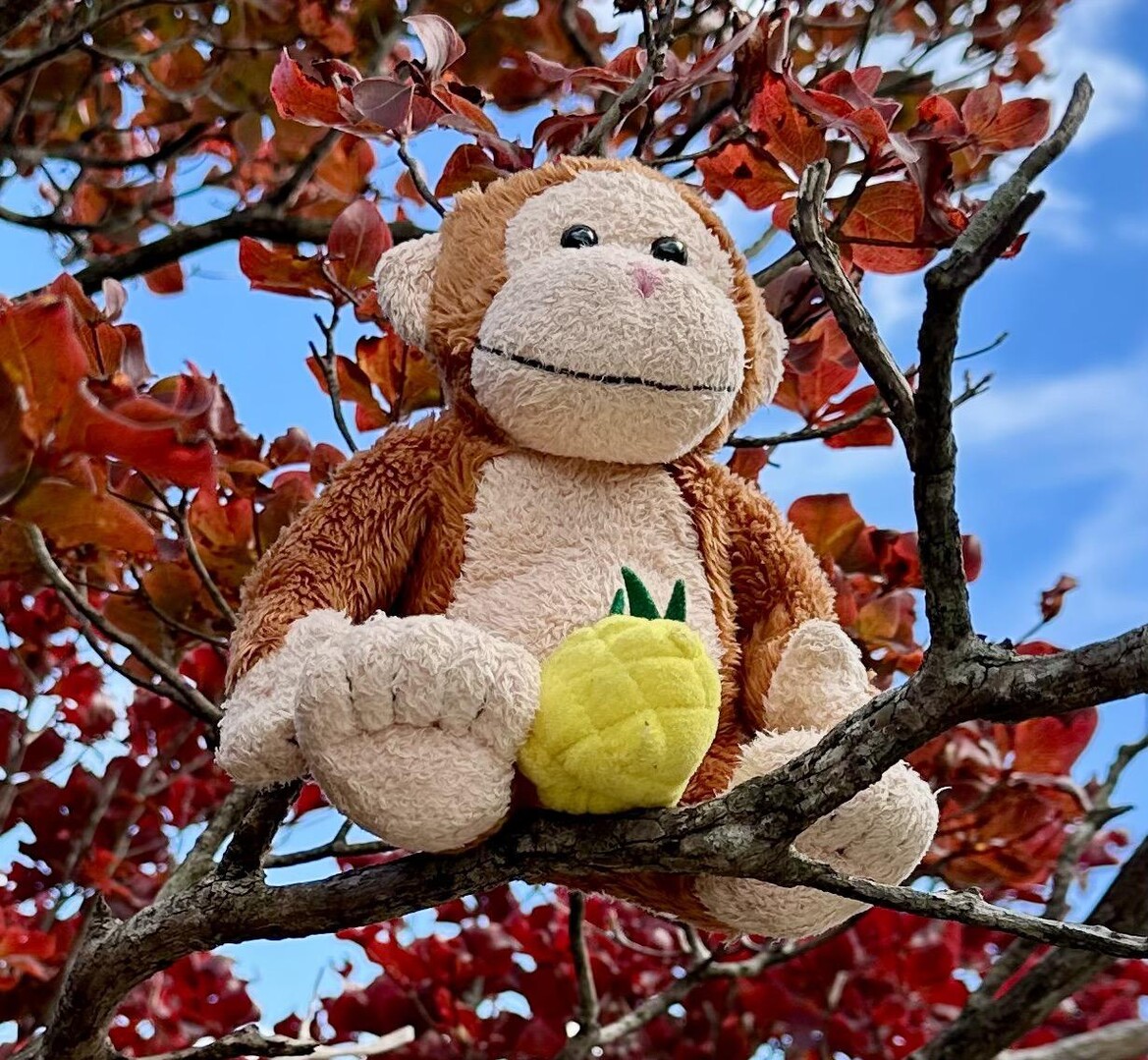 Mattのページ | YAMAP / ヤマップ