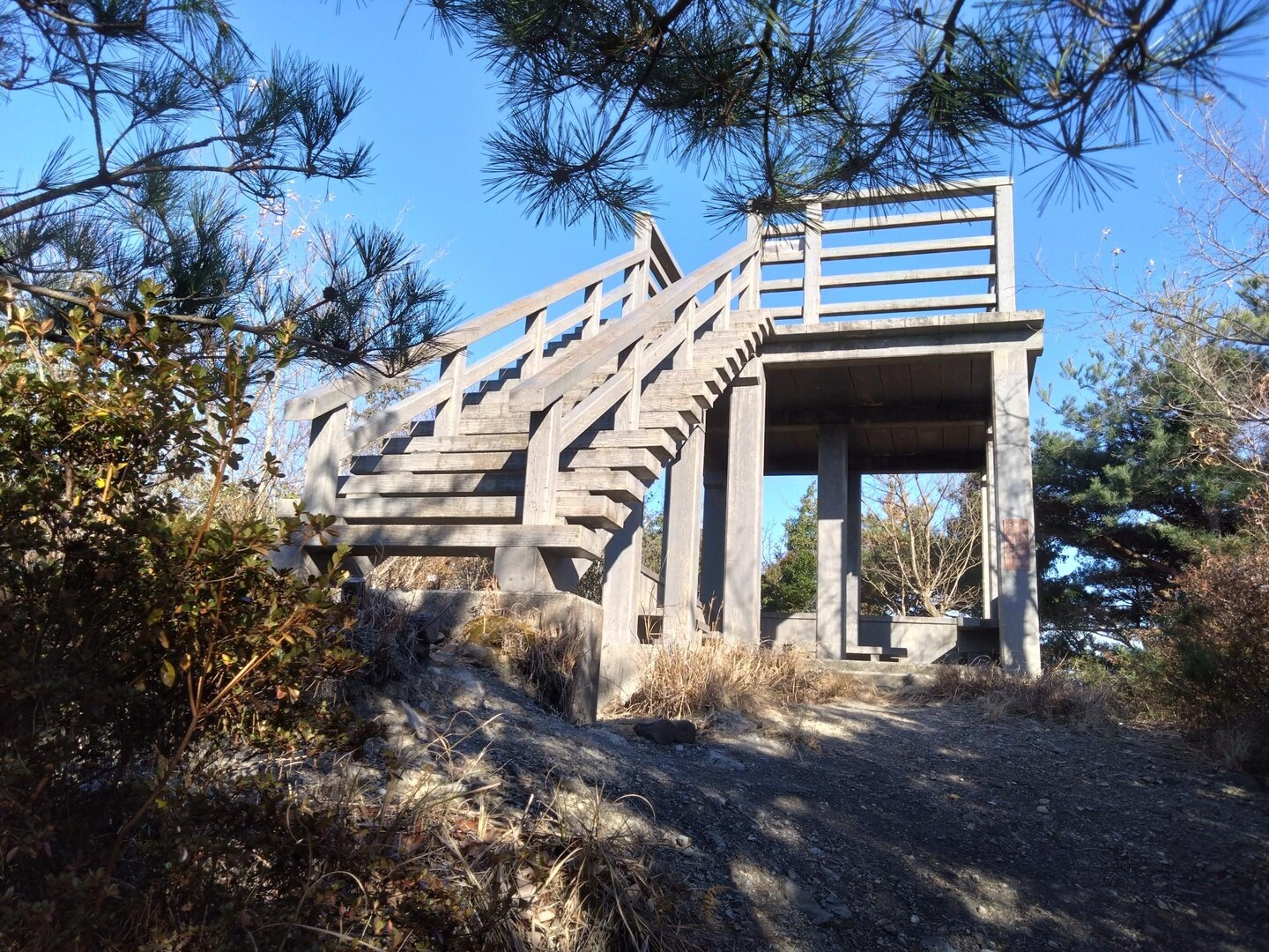 三上山 / omifuji4さんの三上山・大焼山の活動データ | YAMAP / ヤマップ