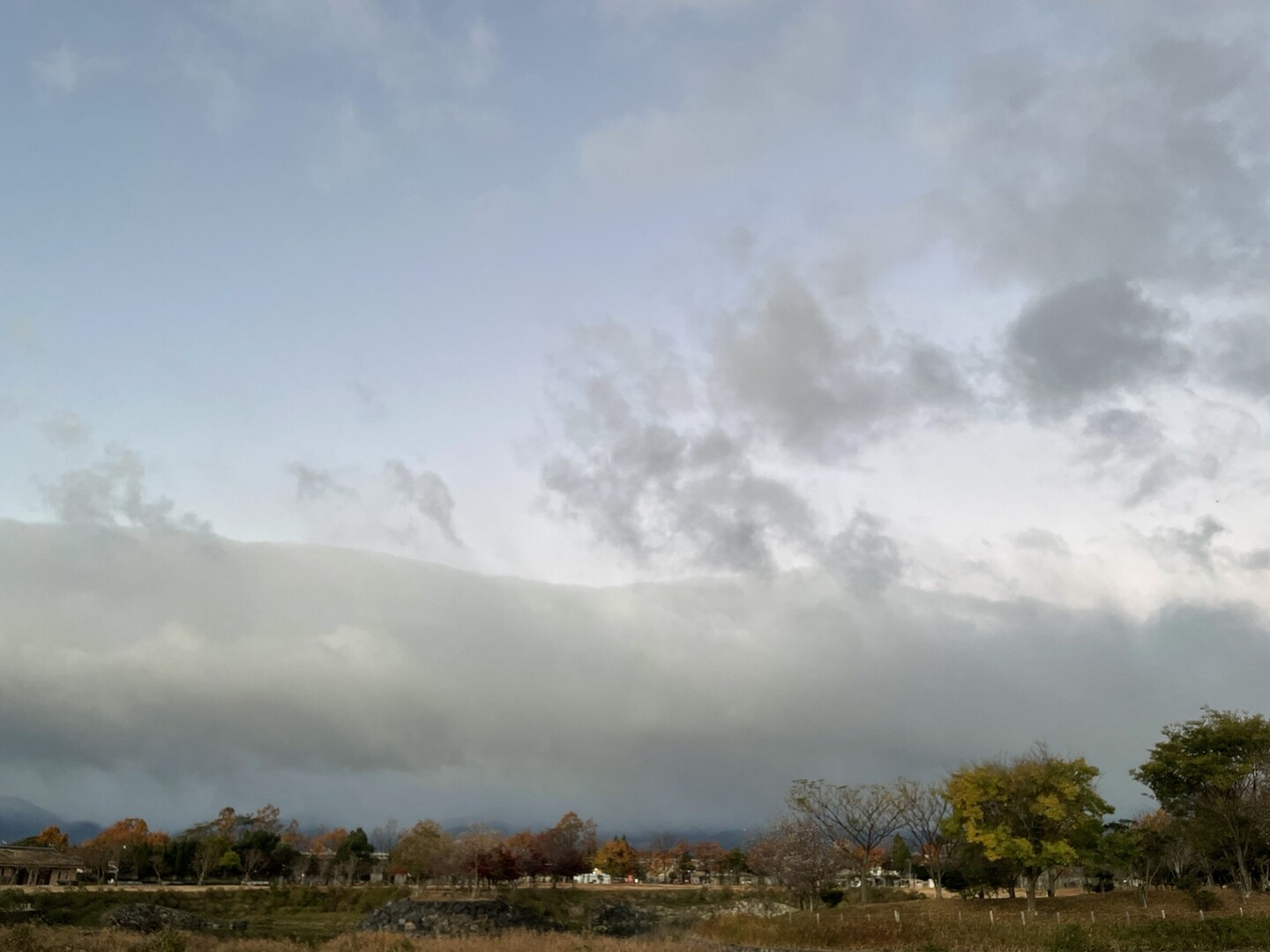 出勤途中公園でウォーキング、ランニング！... / AZさんのモーメント | YAMAP / ヤマップ