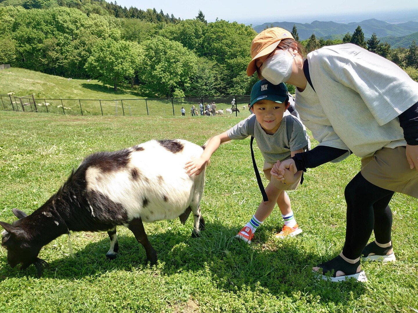 超ビビリのハルが やっとヤギさんを撫でる... / KUMIさんのモーメント | YAMAP / ヤマップ