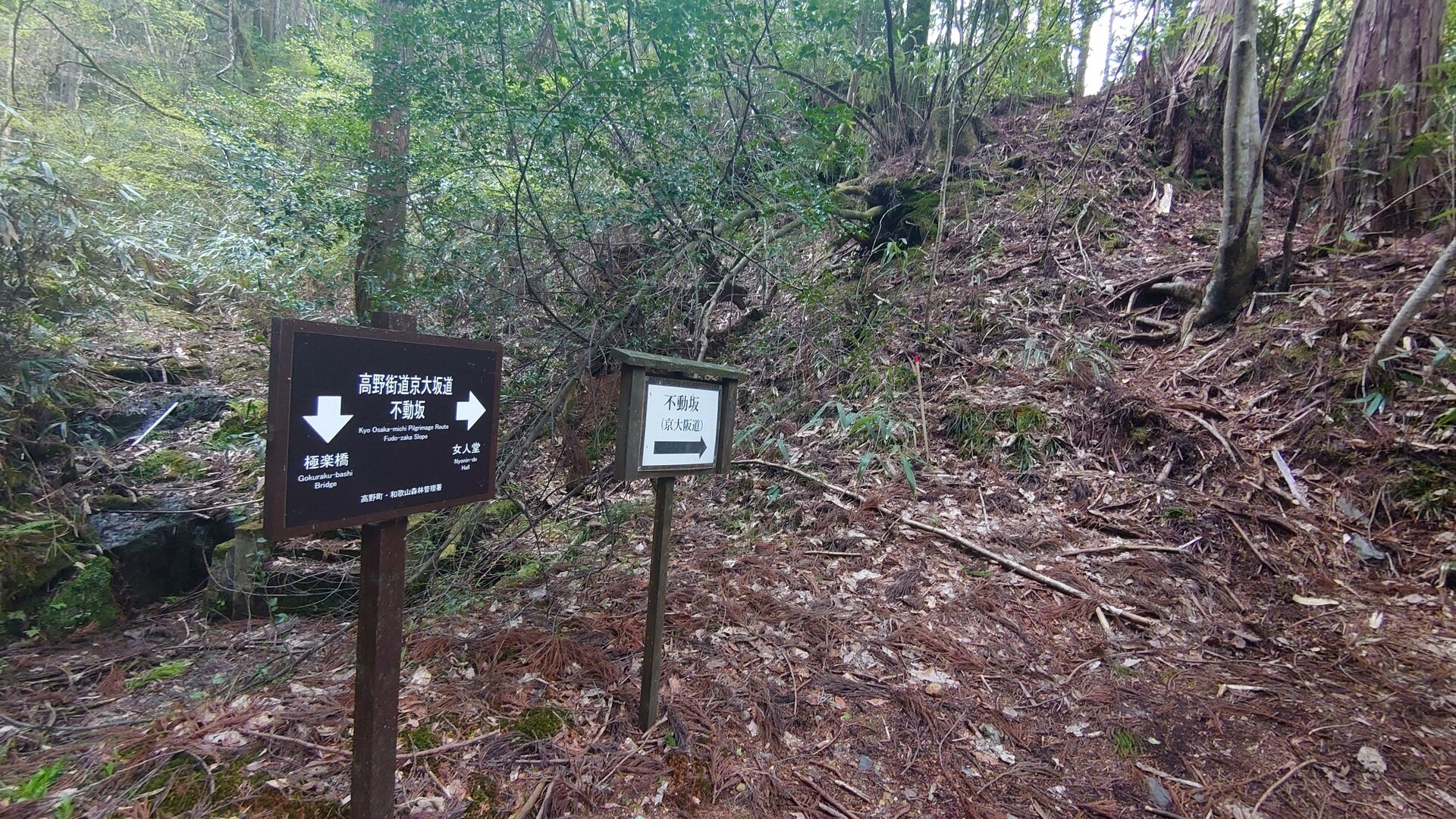 SAMちゃんさんの投稿したフィールドメモ | YAMAP / ヤマップ