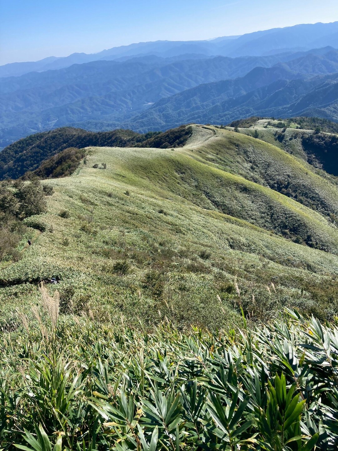 下蒜山・中蒜山・上蒜山・槍ヶ峰 / keiさんの蒜山の活動データ | YAMAP / ヤマップ