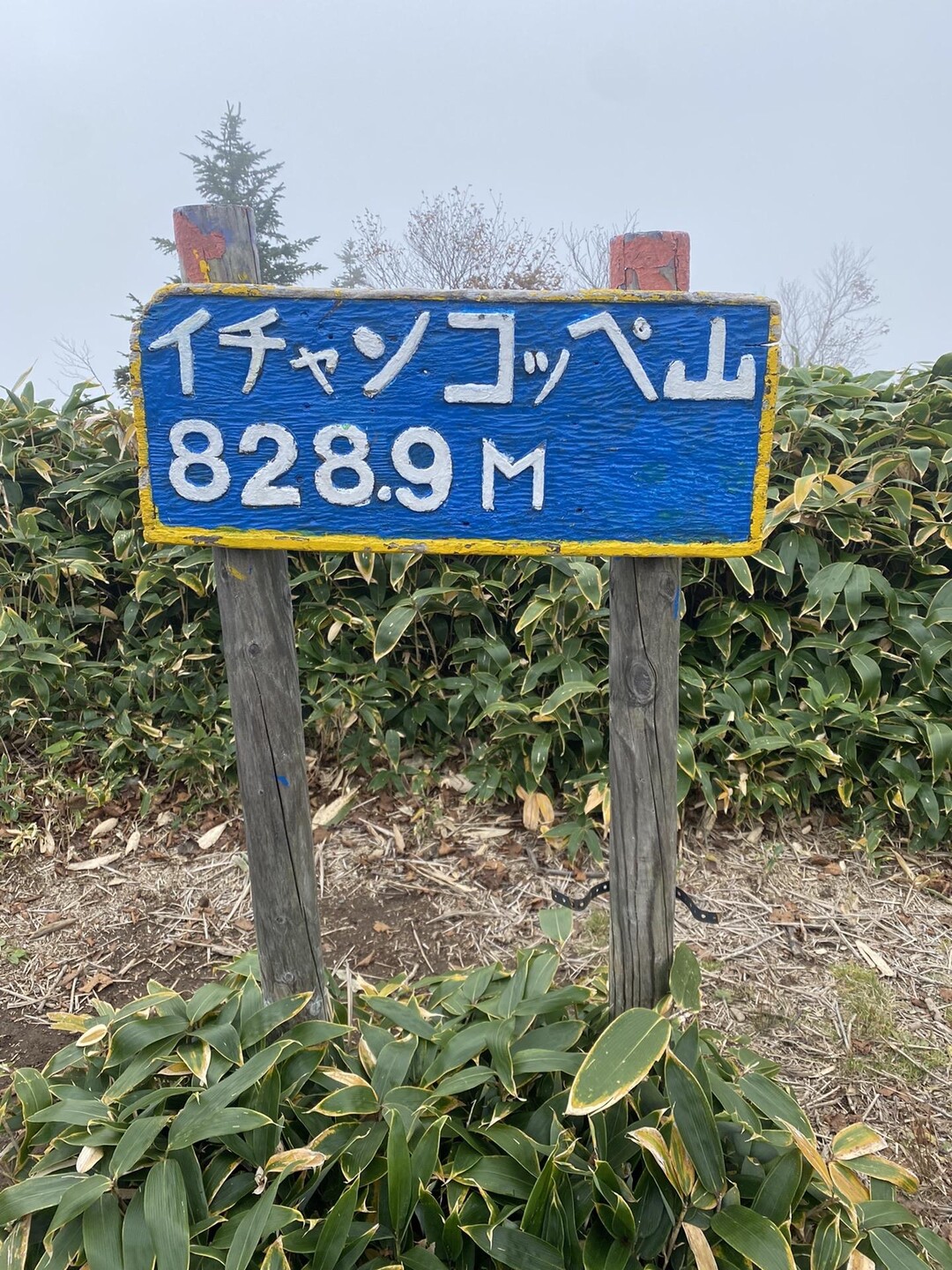 イチャンコッペ山 / ガーランドさんのイチャンコッペ山の活動データ | YAMAP / ヤマップ