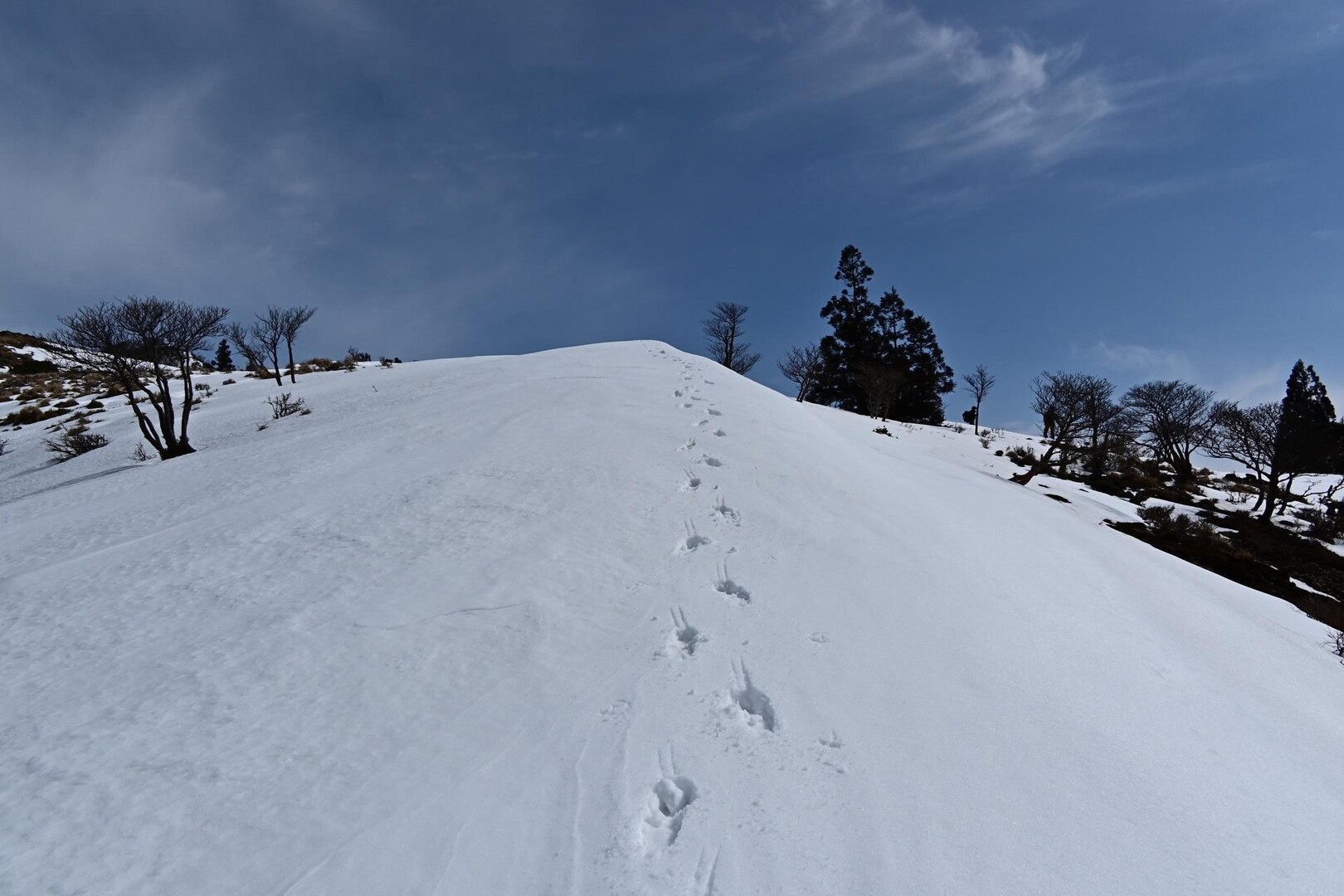 御殿山・武奈ヶ岳 / hikaさんの比良山地・武奈ヶ岳・釈迦岳の活動データ | YAMAP / ヤマップ