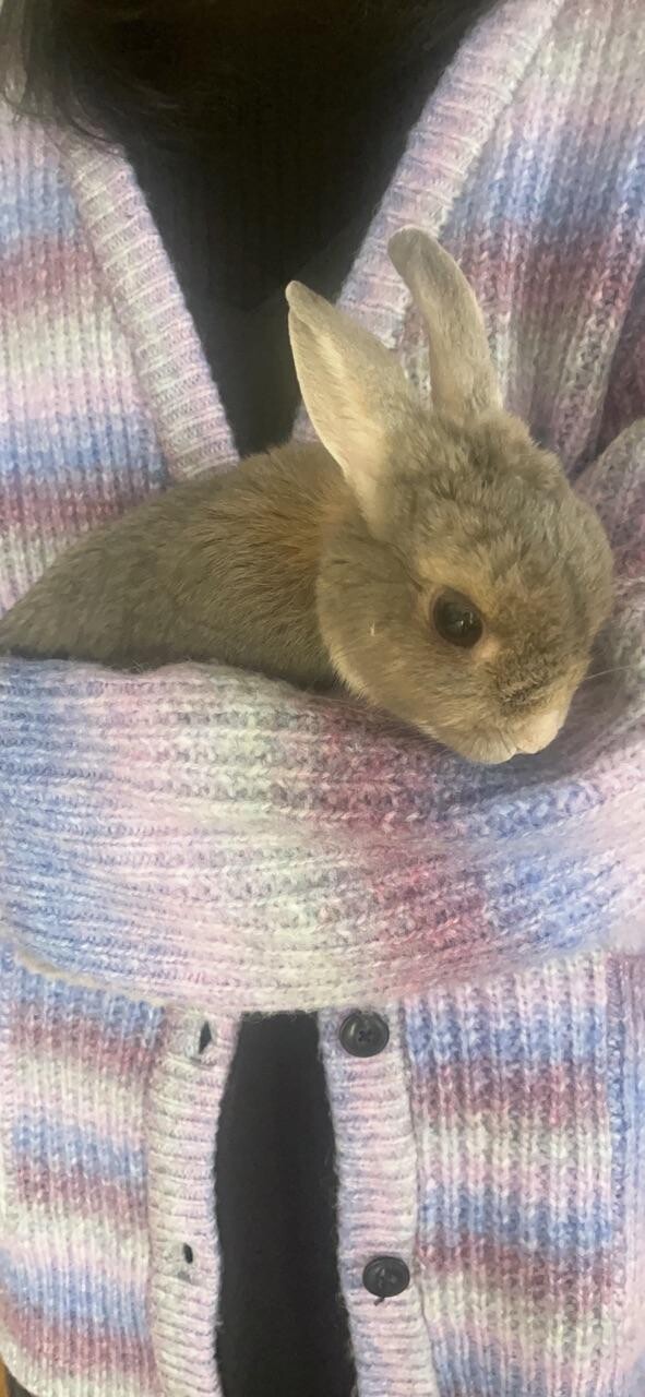 Akkoronのページ | YAMAP / ヤマップ