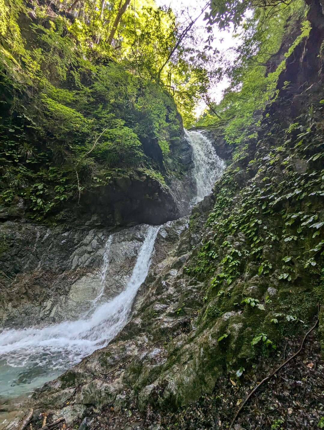 勘七沢沢登り / j-saitohさんの大山の活動データ | YAMAP / ヤマップ