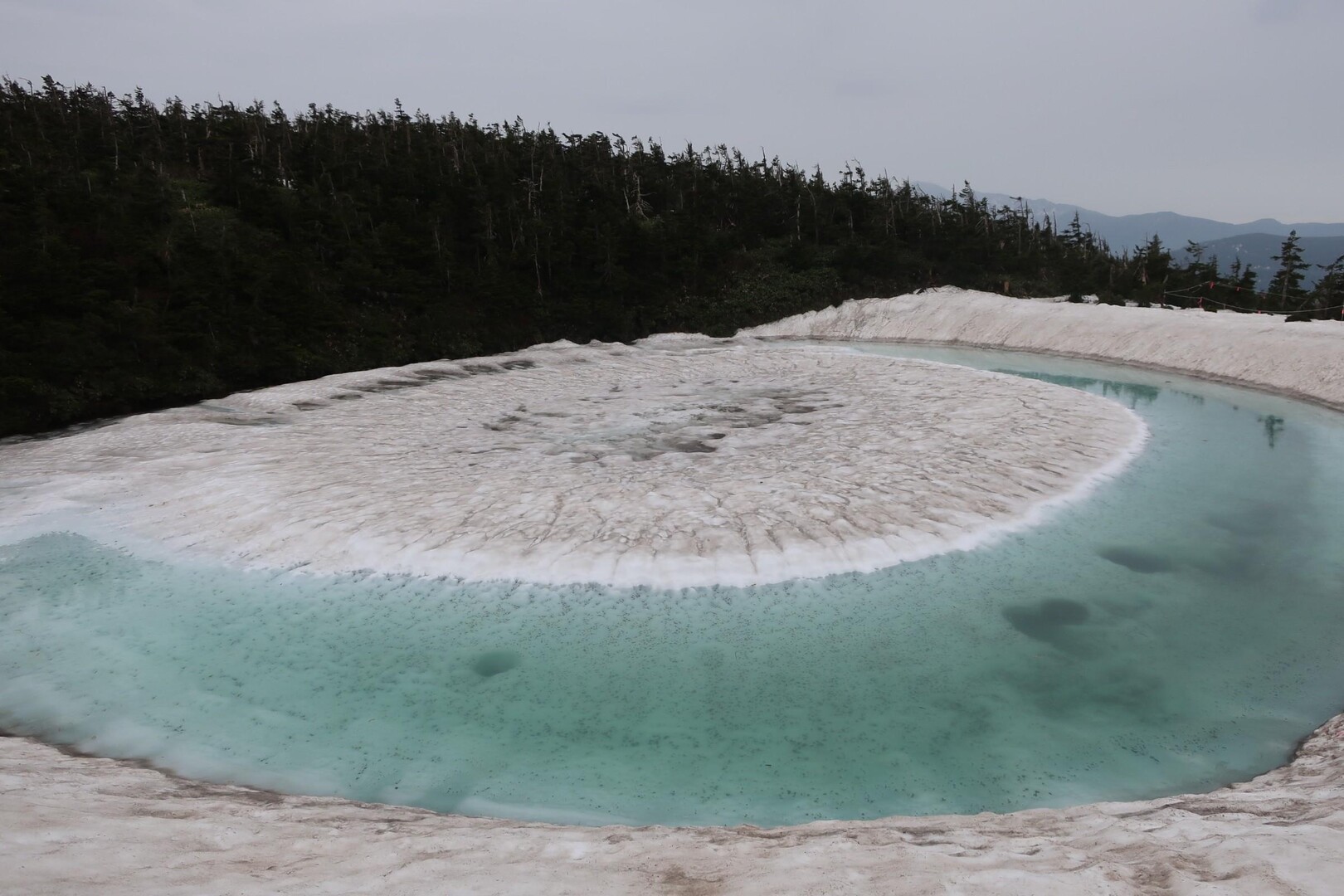 壮大なる大自然 裏岩手縦走路 / ponさんの岩手山・八幡平・安比高原 50km トレイルの活動日記 | YAMAP / ヤマップ