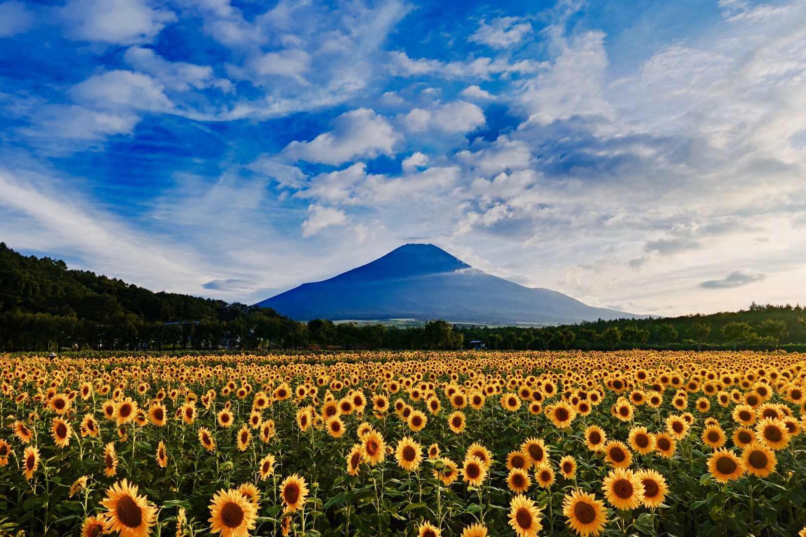 2022.03.16(水) 14:54 / YUHYAさんのモーメント | YAMAP / ヤマップ
