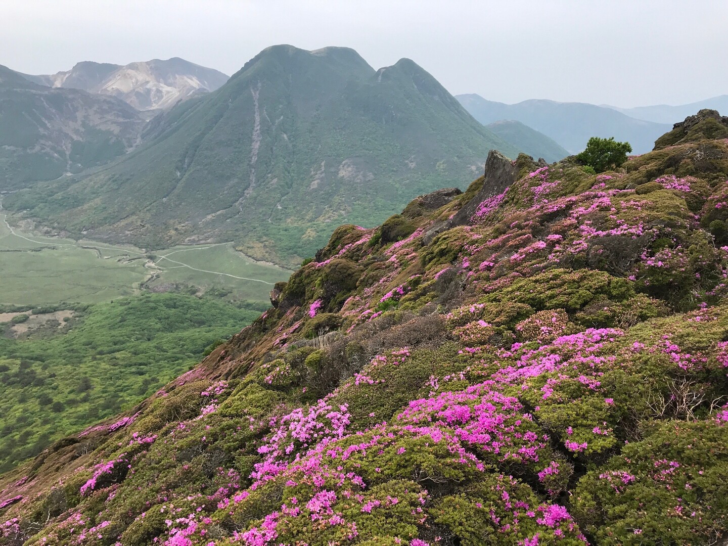 大船山・北大船山・平治岳 / やんさんさんの九重山（久住山）・大船山・星生山の活動データ | YAMAP / ヤマップ