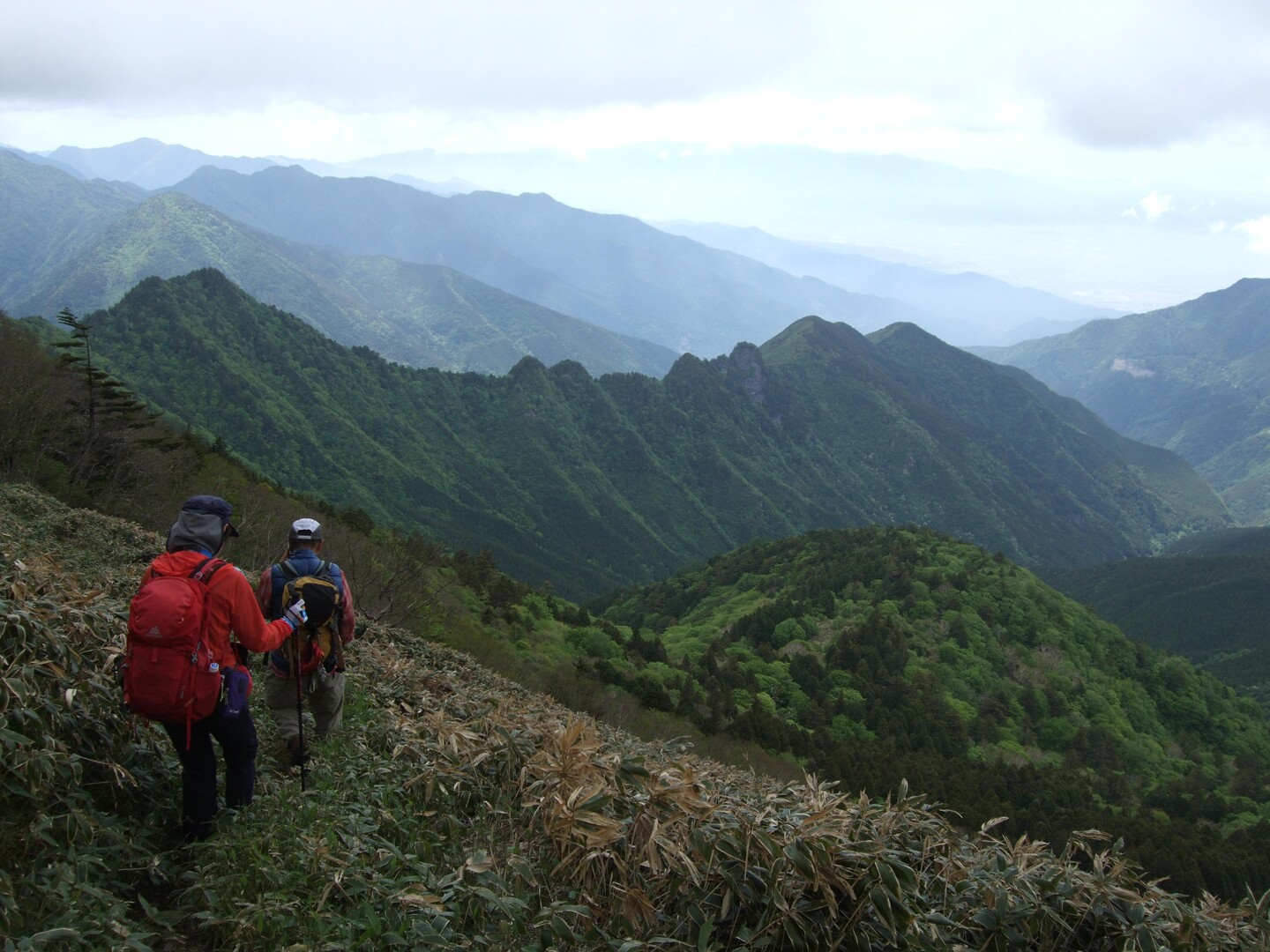 笹ヶ峰 / mt. sugさんの笹ヶ峰・寒風山・平家平の活動データ | YAMAP / ヤマップ