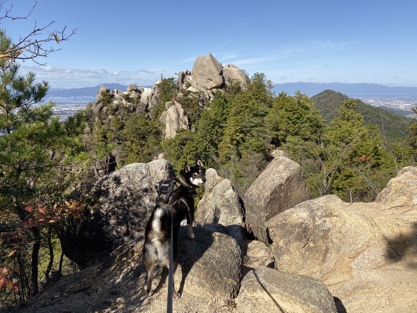日本晴れ ホームの山で 最高や / Corchanさんの金勝アルプス（鶏冠山・竜王山）の活動データ | YAMAP / ヤマップ