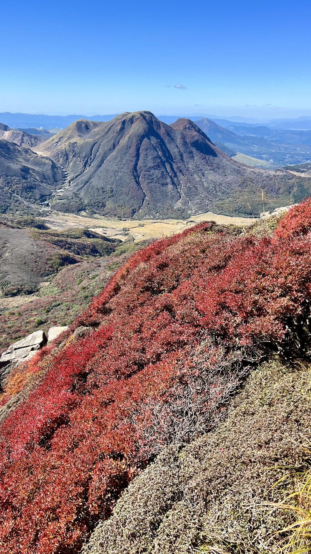 長者原より坊ガツル経由で大船山2023-10-21 / 山さんさんの九重山（久住山）・大船山・星生山の活動データ | YAMAP / ヤマップ