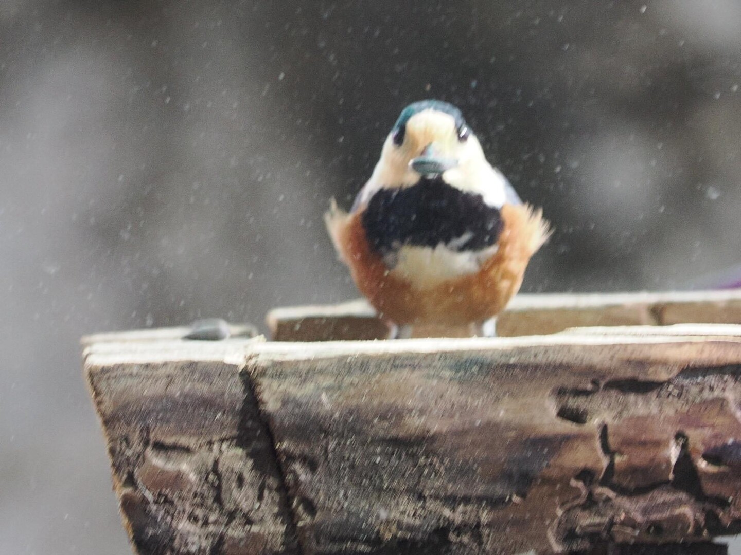 HAMARYUのページ | YAMAP / ヤマップ