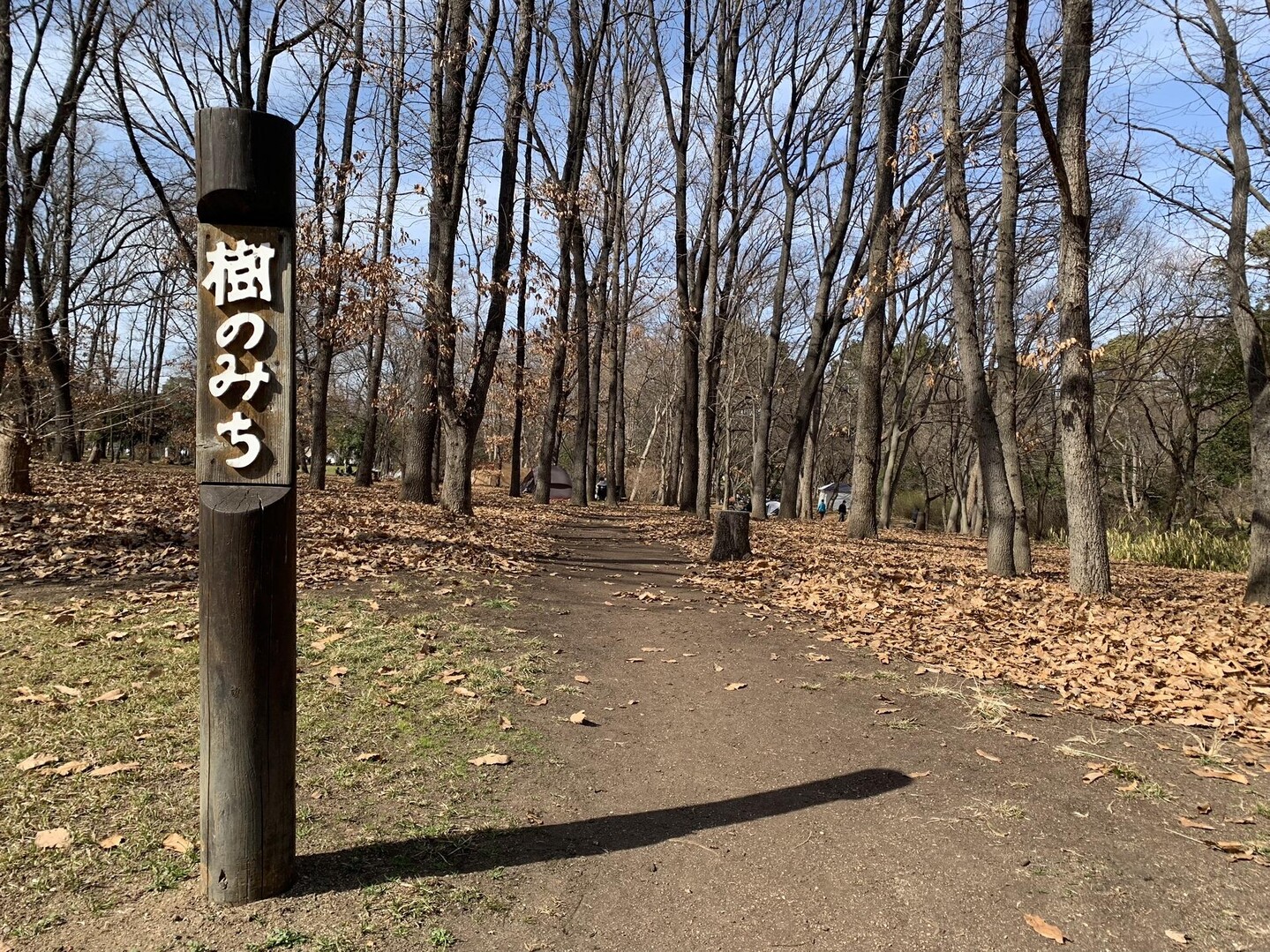 Max標高33.3m双ヶ丘・双子山・笠伏山・小笠山 / えんさんの双子山・笠伏山・小笠山・双ヶ丘の活動データ | YAMAP / ヤマップ