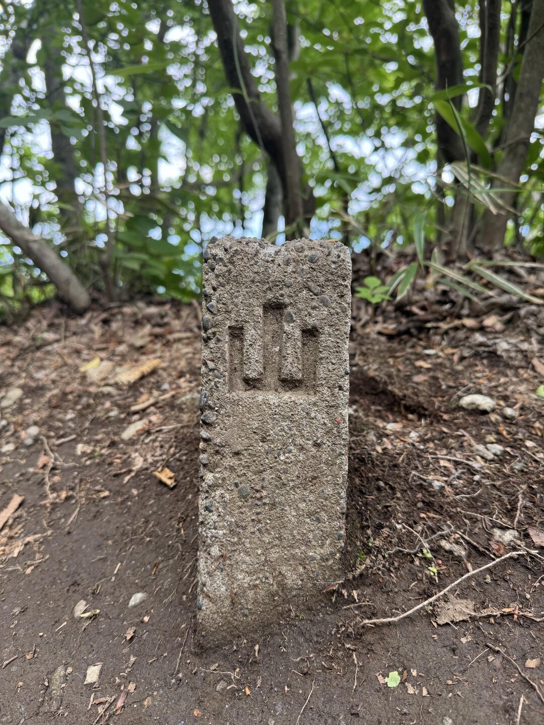 筑波山 / yu!ch!さんの筑波山の活動データ | YAMAP / ヤマップ