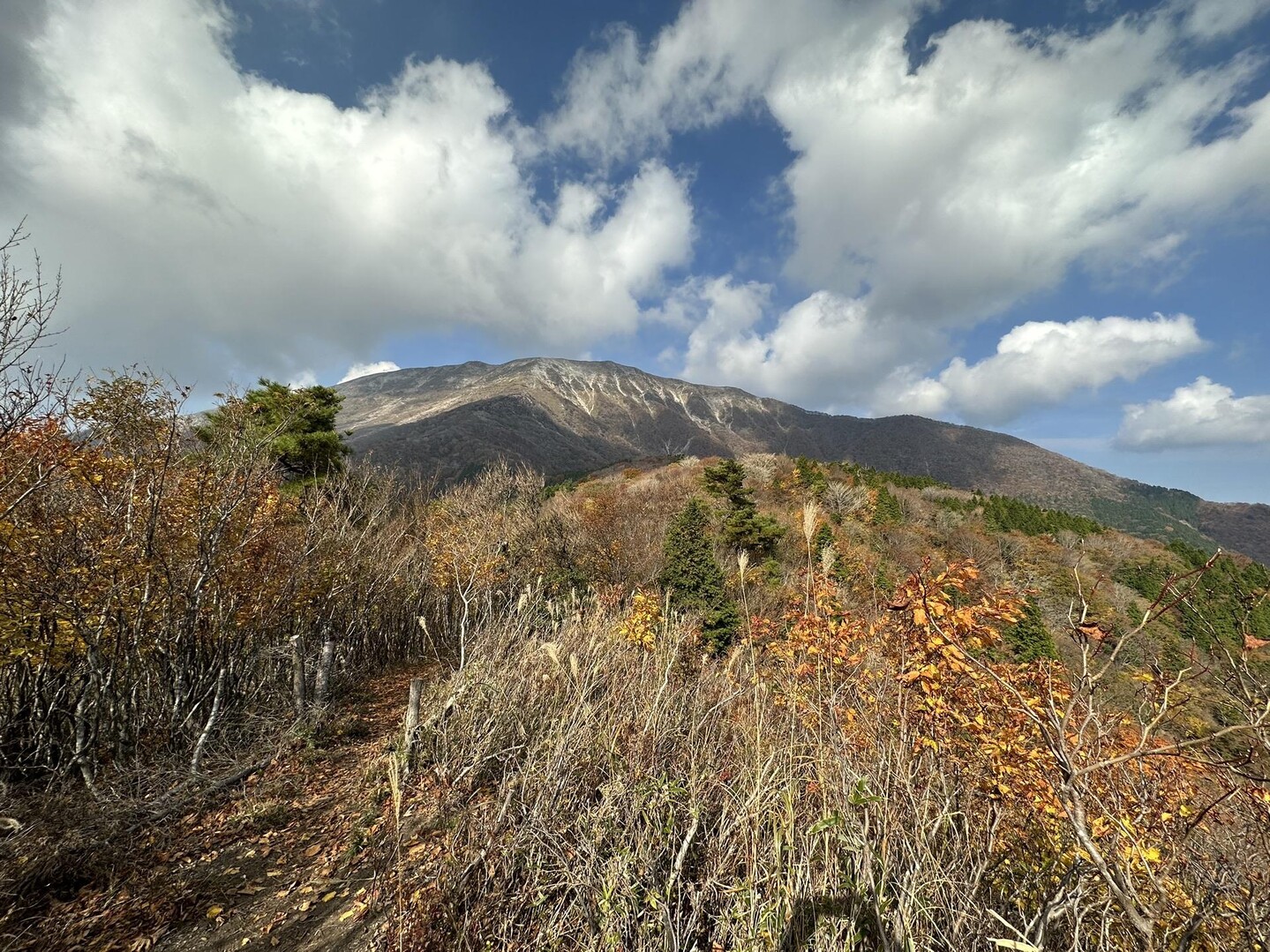 伊吹山 上平寺コース / yyさんの伊吹山・伊吹高原・御座峰の活動データ | YAMAP / ヤマップ