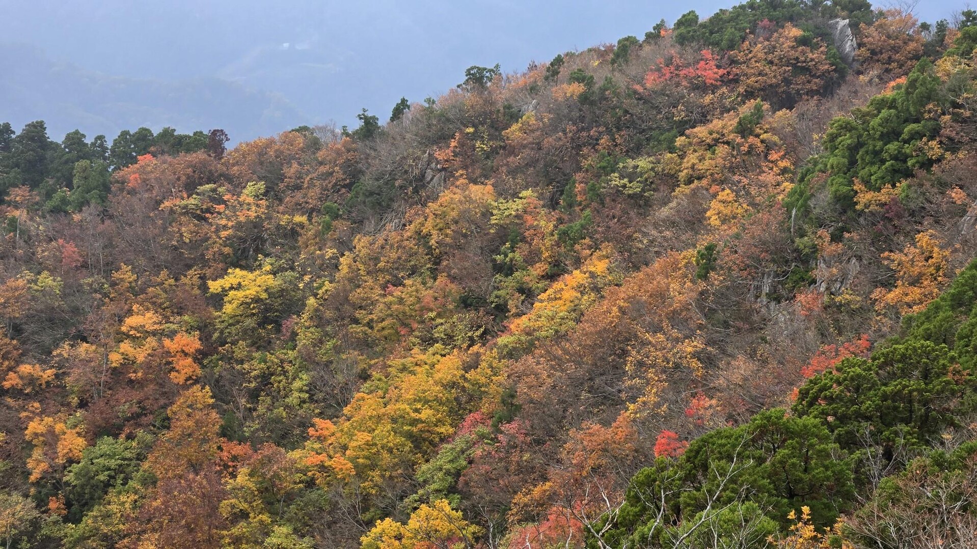 青海黒姫山(300名山) / sadaさんの黒姫山（青海黒姫山）の活動データ | YAMAP / ヤマップ