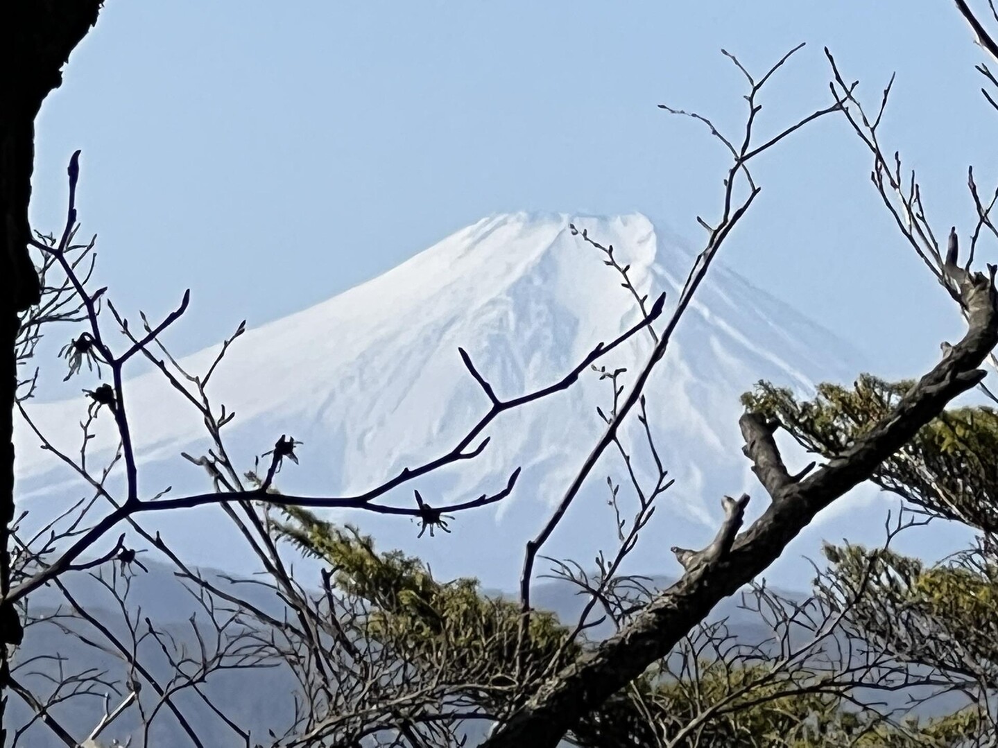 愛宕山・鋸山・大岳山・鍋割山・奥の院峰・御岳山から御嶽駅〜奥多摩駅 / koujiさんの大岳山・御岳山・御前山の活動データ | YAMAP / ヤマップ