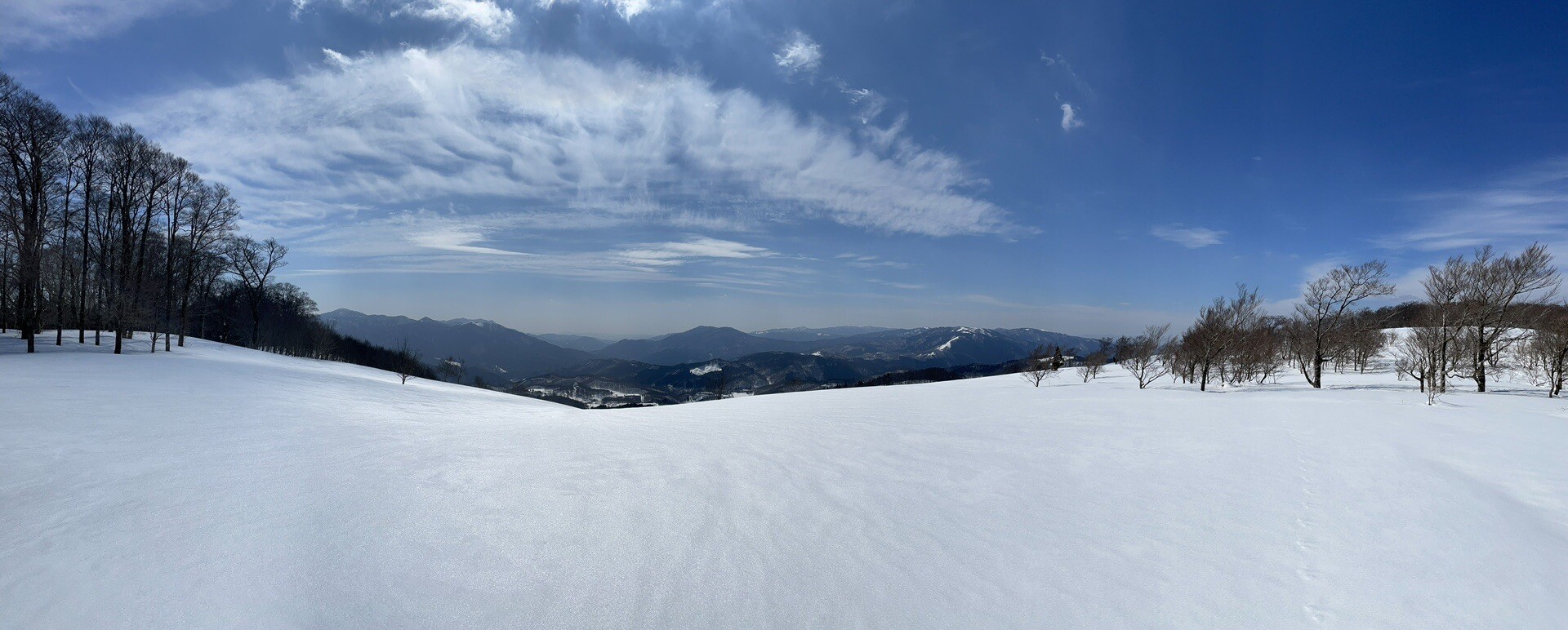 高清水高原・大畝山・御林山・池川山 / gussanさんの伯州山・霧ヶ原の活動データ | YAMAP / ヤマップ