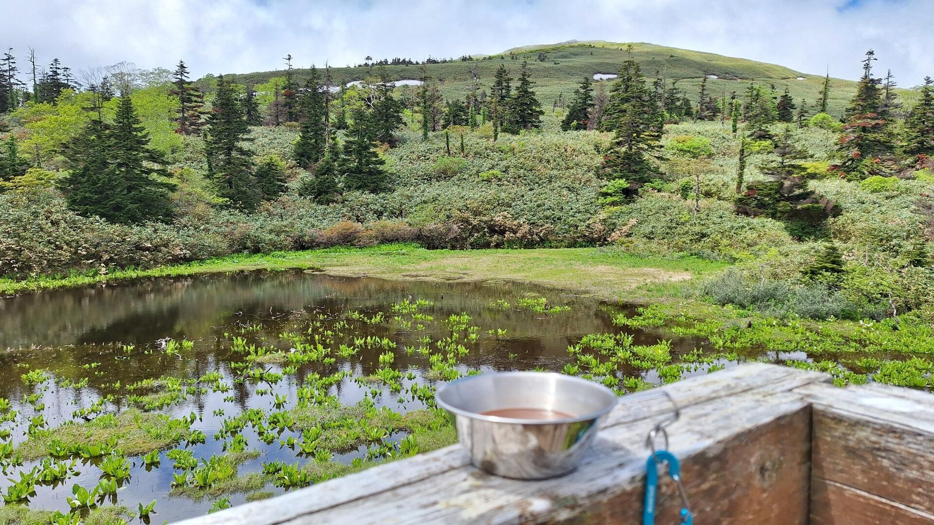 R06.06.04三ッ石山(網張より) / たけちゃんさんの三ッ石山・大深岳・諸桧岳の活動データ | YAMAP / ヤマップ